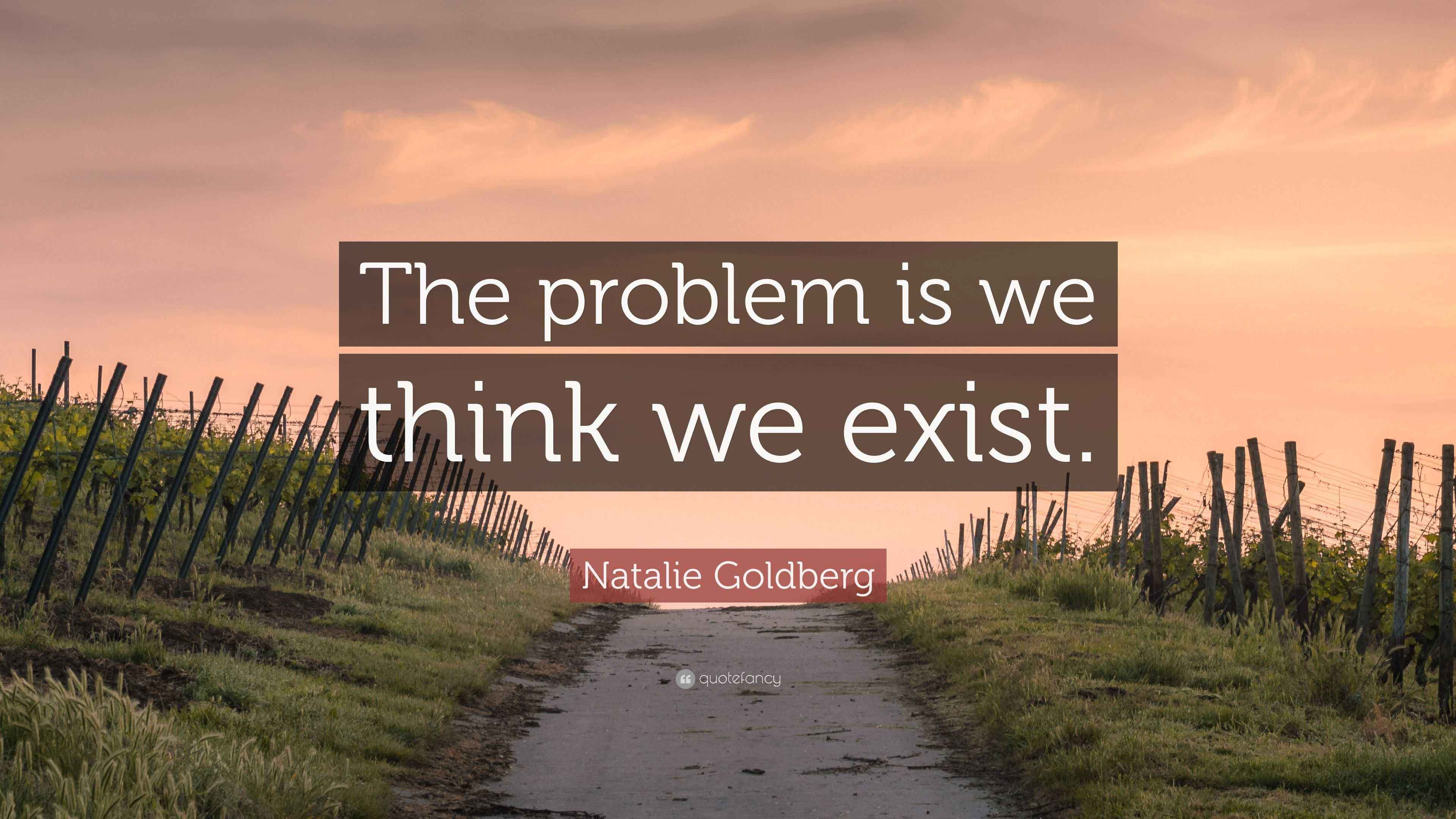 Natalie Goldberg Quote: “The problem is we think we exist.”