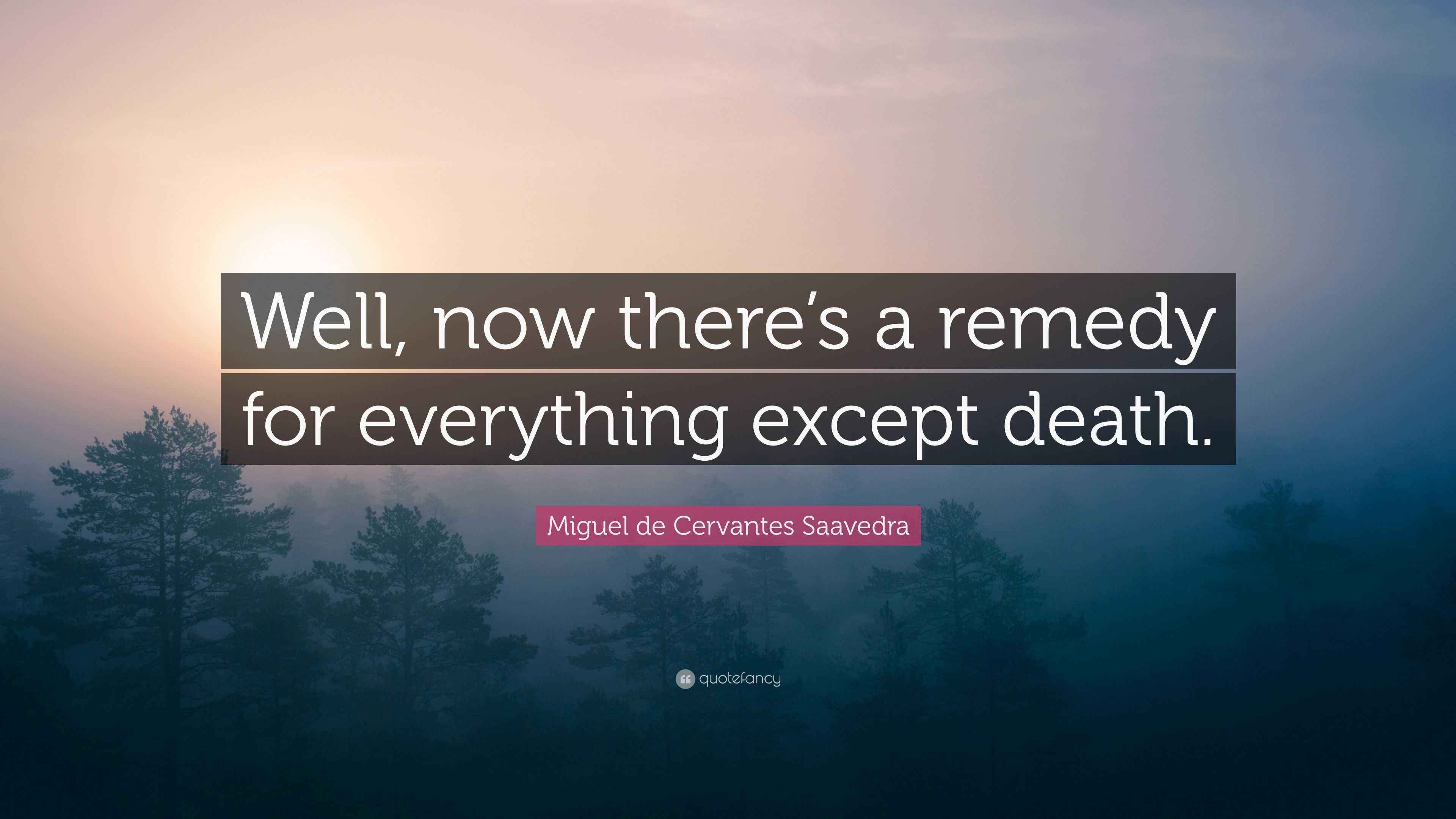 Miguel de Cervantes Saavedra Quote: “Well, now there’s a remedy for ...