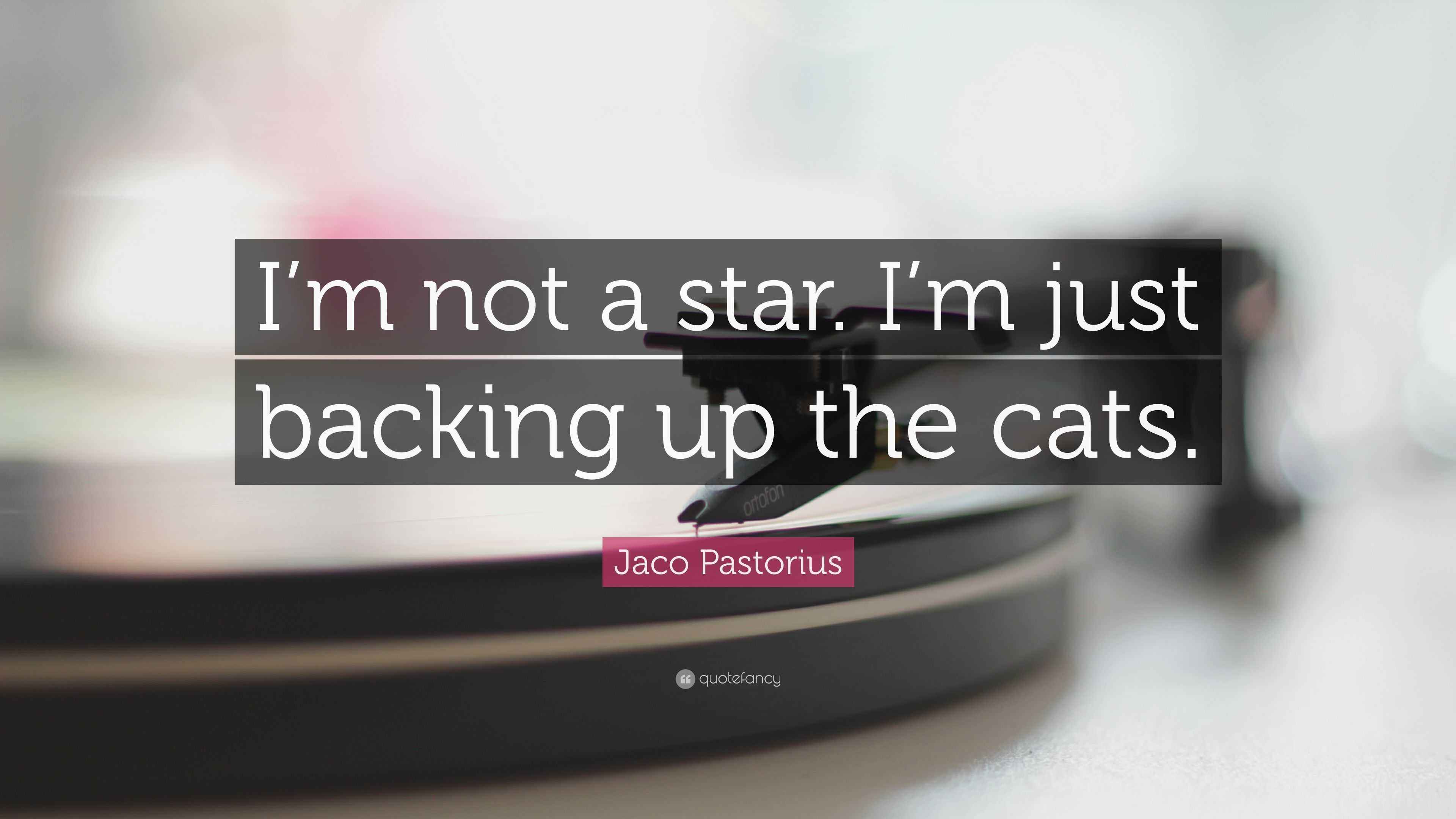 Jaco Pastorius Quote: “I’m not a star. I’m just backing up the cats.”