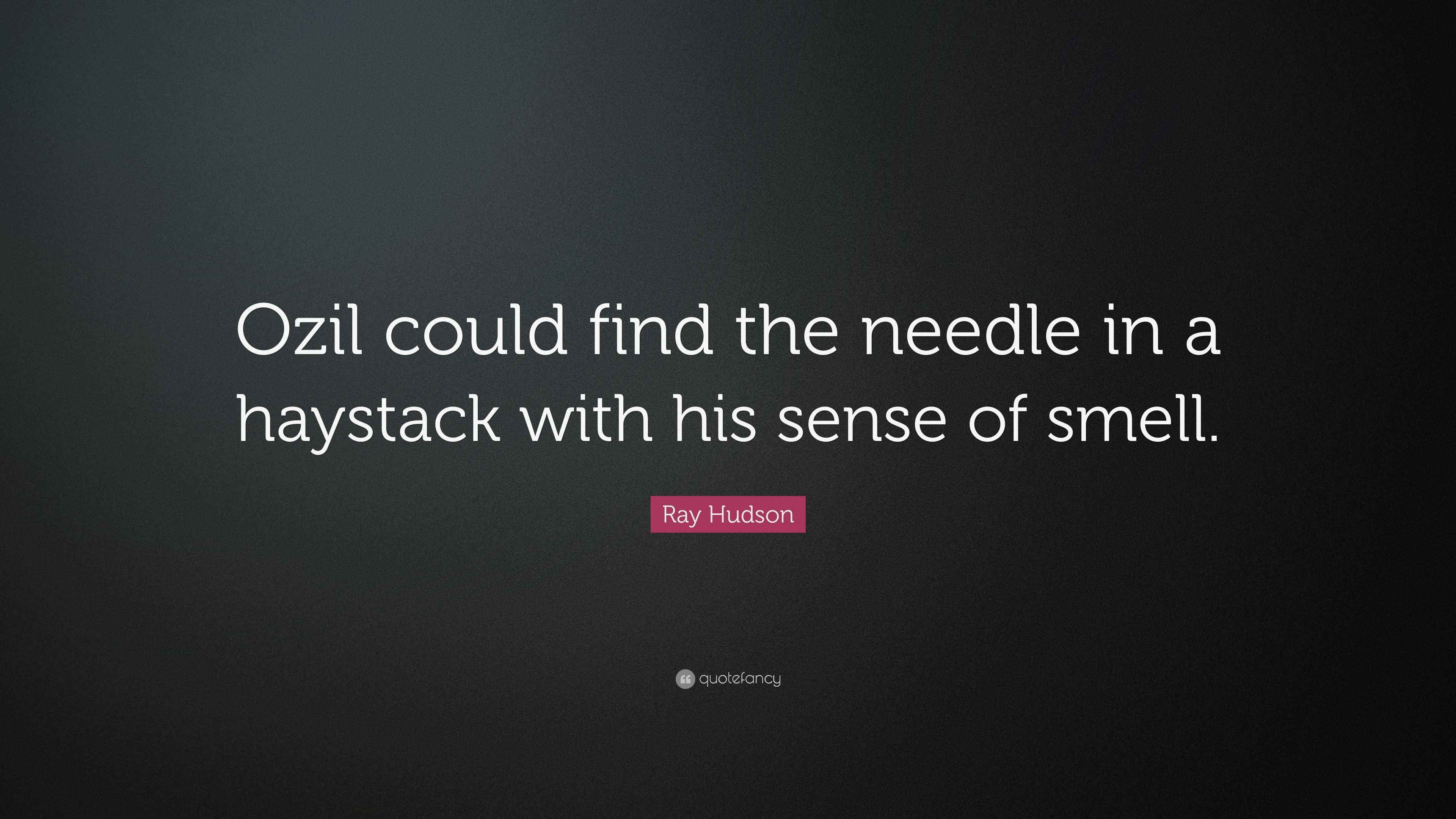 Ray Hudson Quote: “Ozil could find the needle in a haystack with his ...