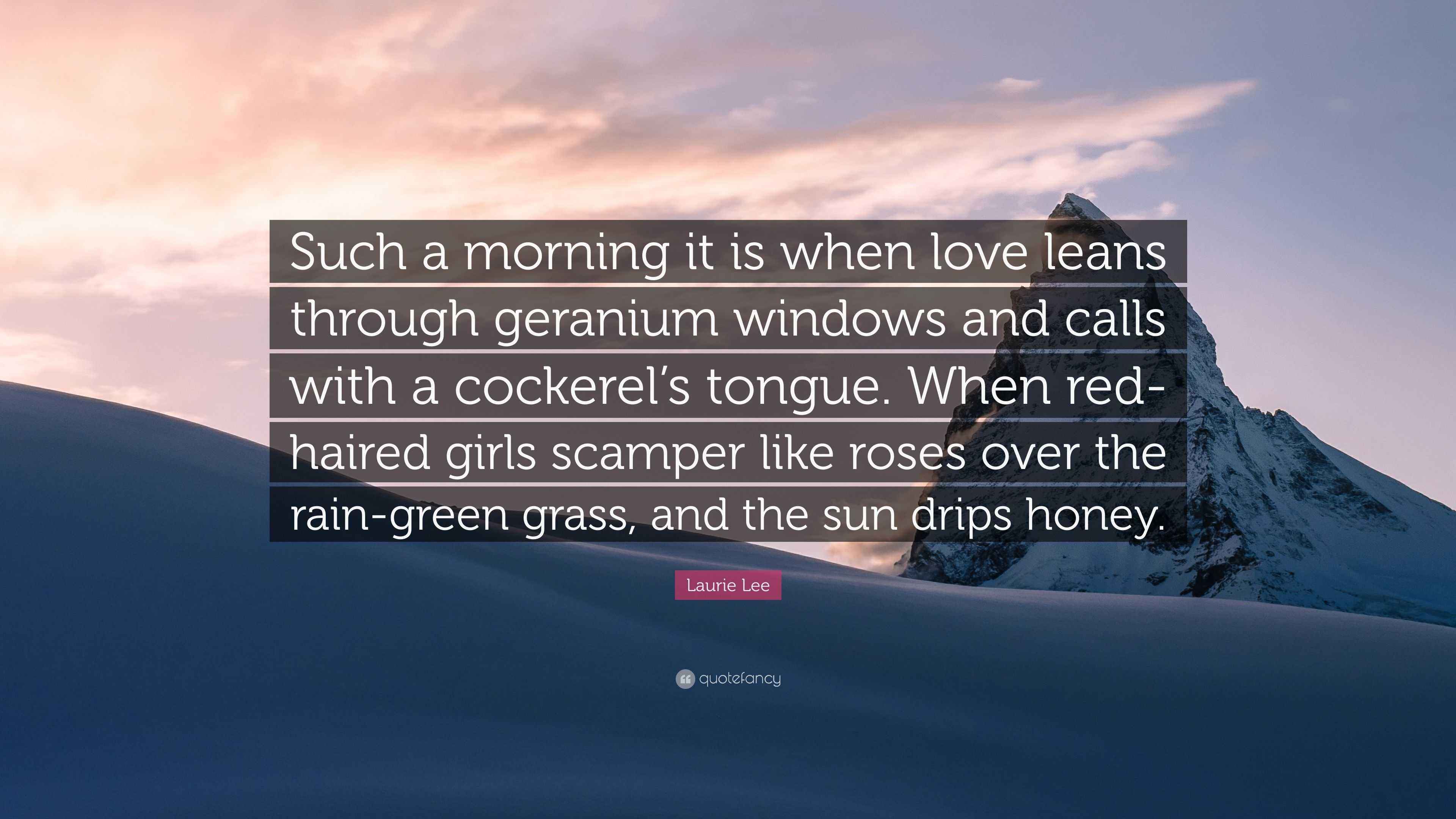 Laurie Lee Quote: “Such a morning it is when love leans through ...