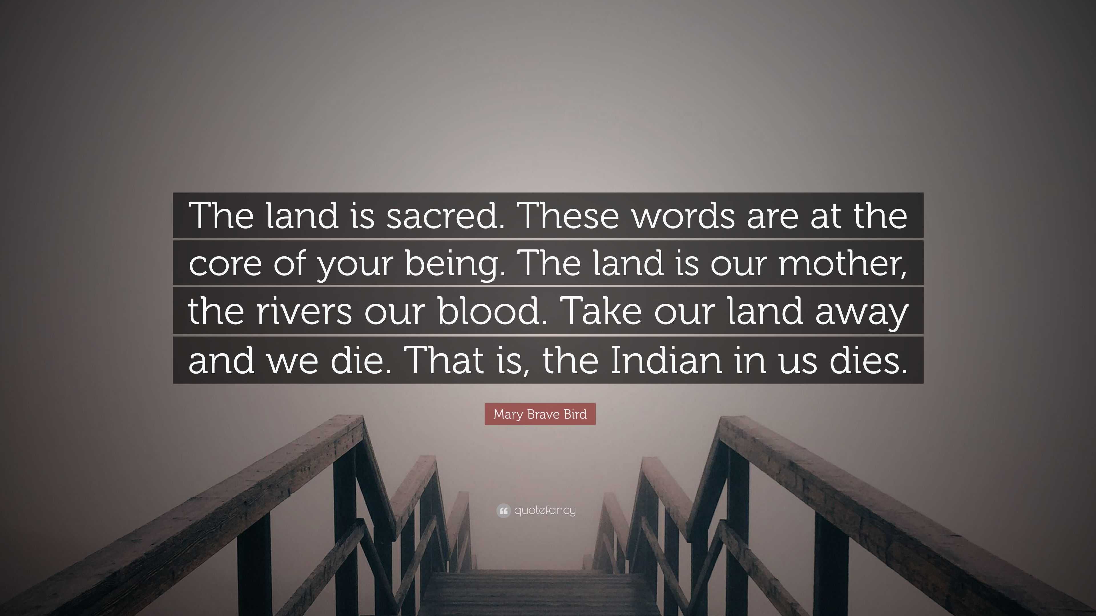 Mary Brave Bird Quote: “The land is sacred. These words are at the core ...