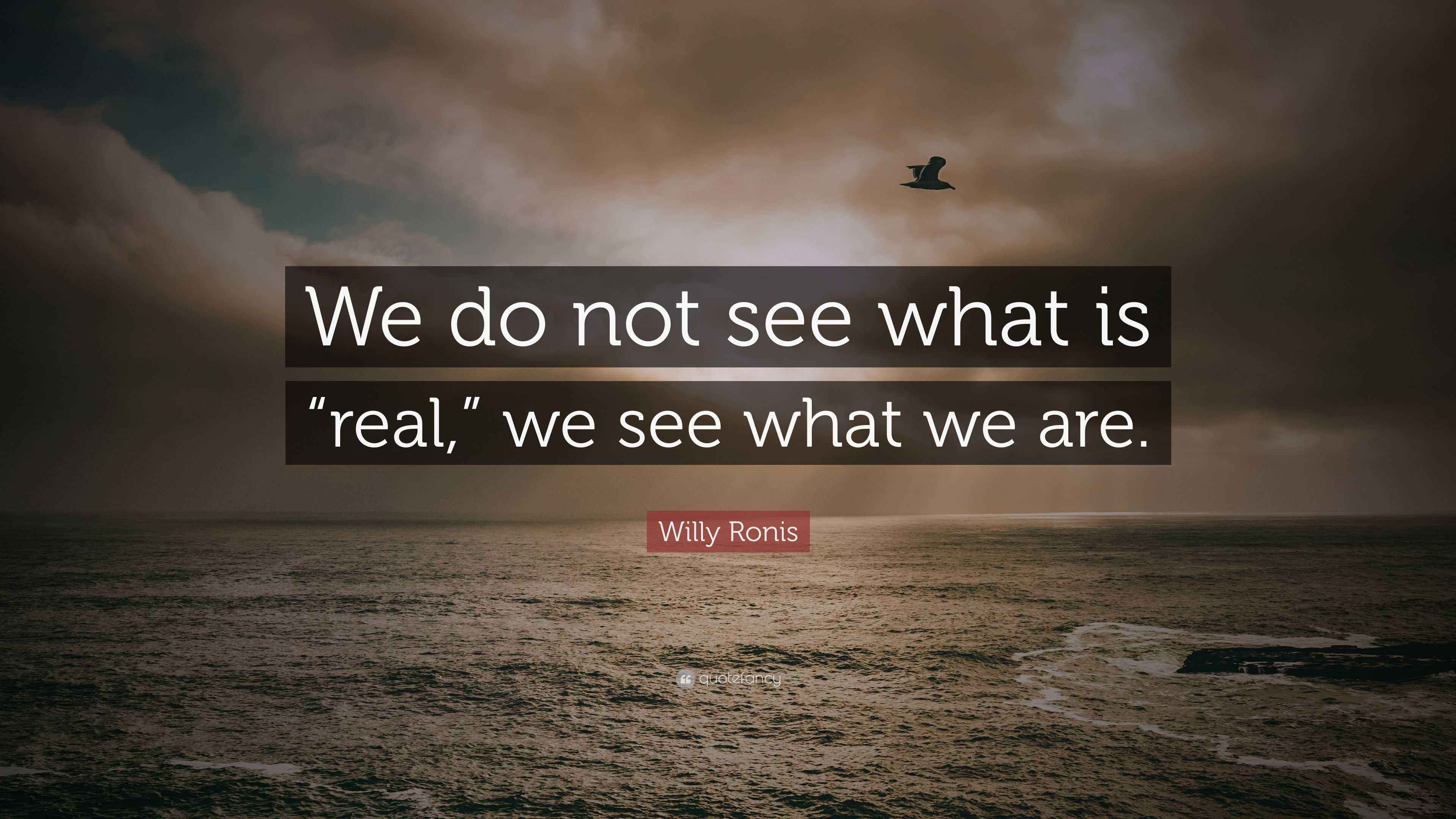 What We See Is Real