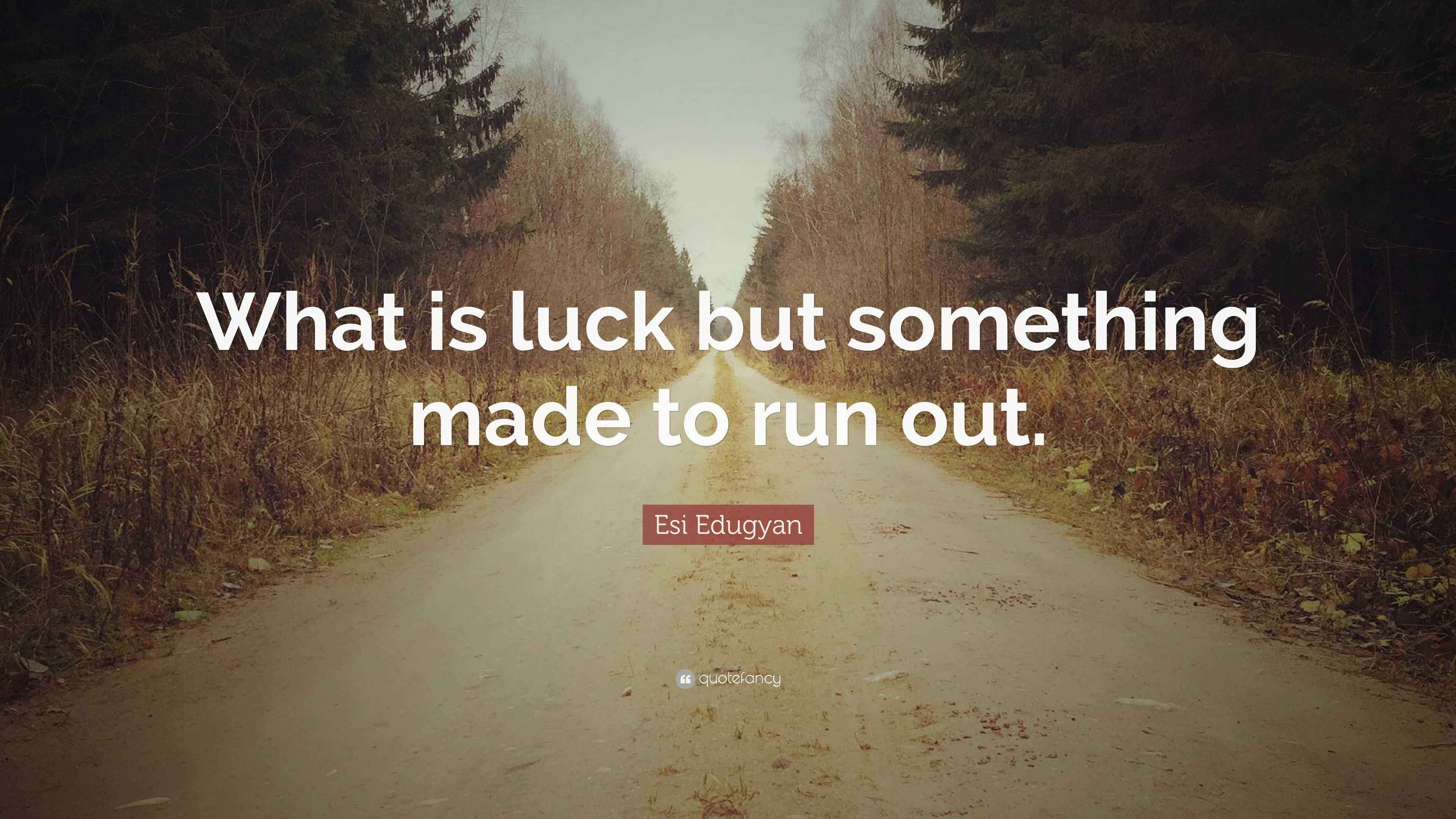 Esi Edugyan Quote: “What is luck but something made to run out.”