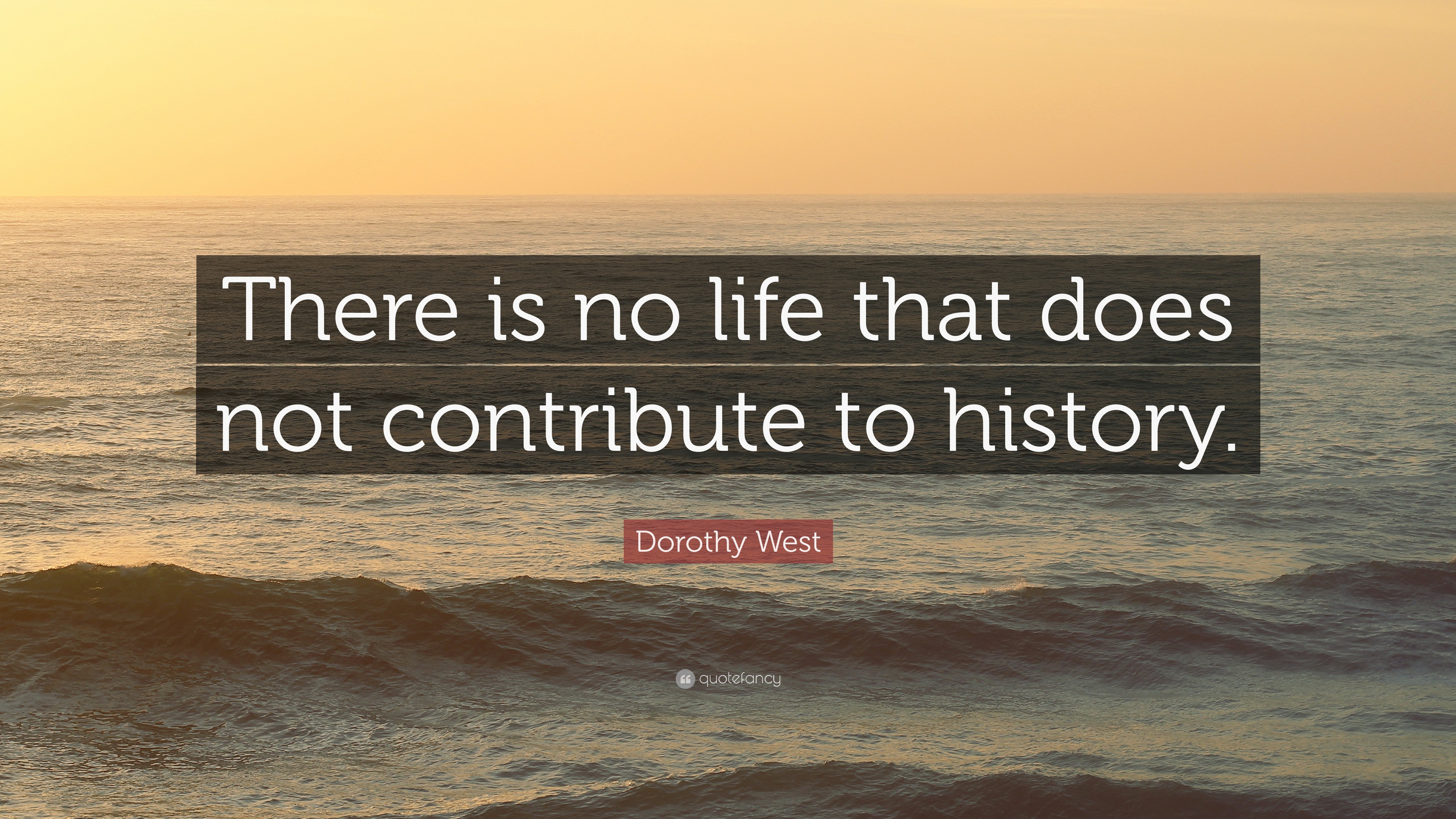 Dorothy West Quote: “There is no life that does not contribute to history.”