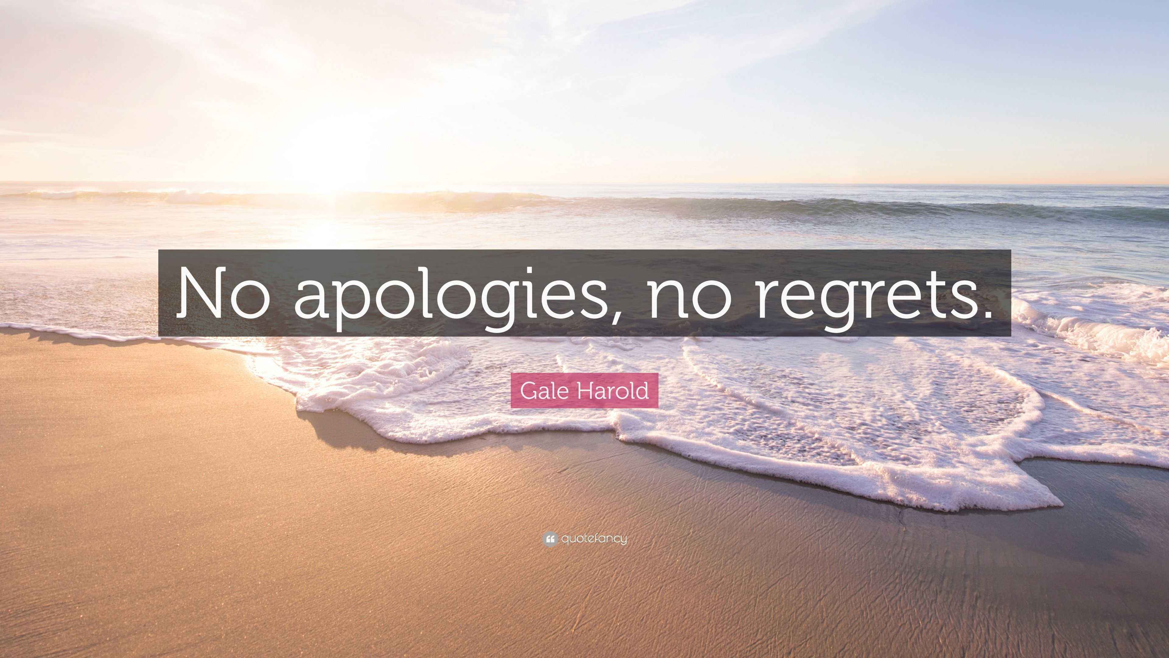 Gale Harold Quote: “No apologies, no regrets.”