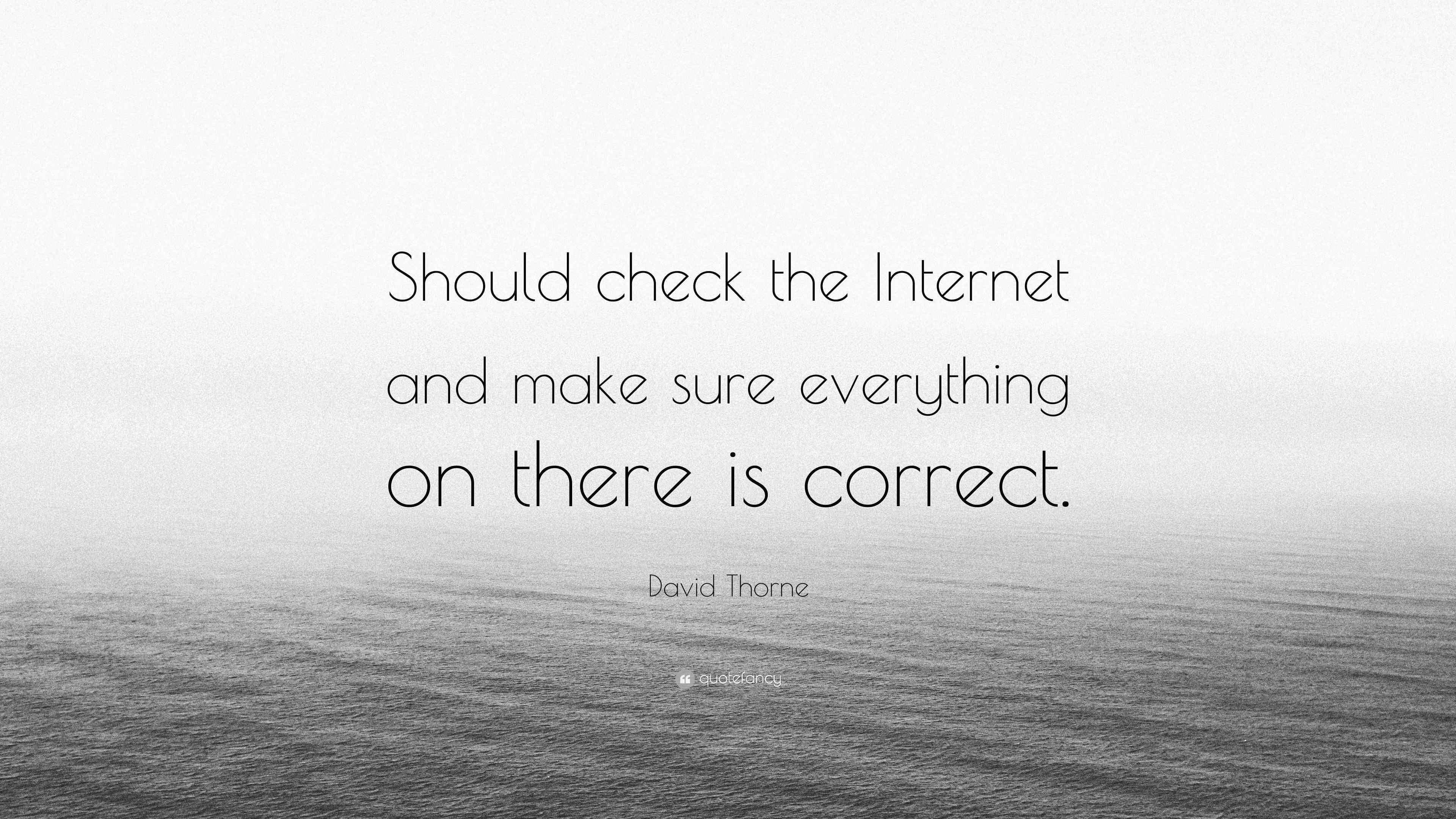 David Thorne Quote: “Should check the Internet and make sure everything ...