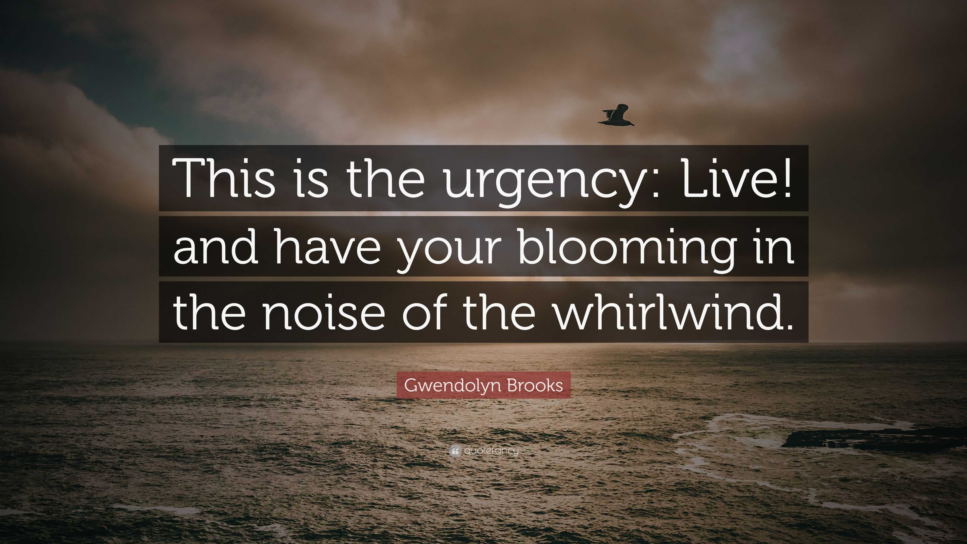 Gwendolyn Brooks Quote: “This is the urgency: Live! and have your ...