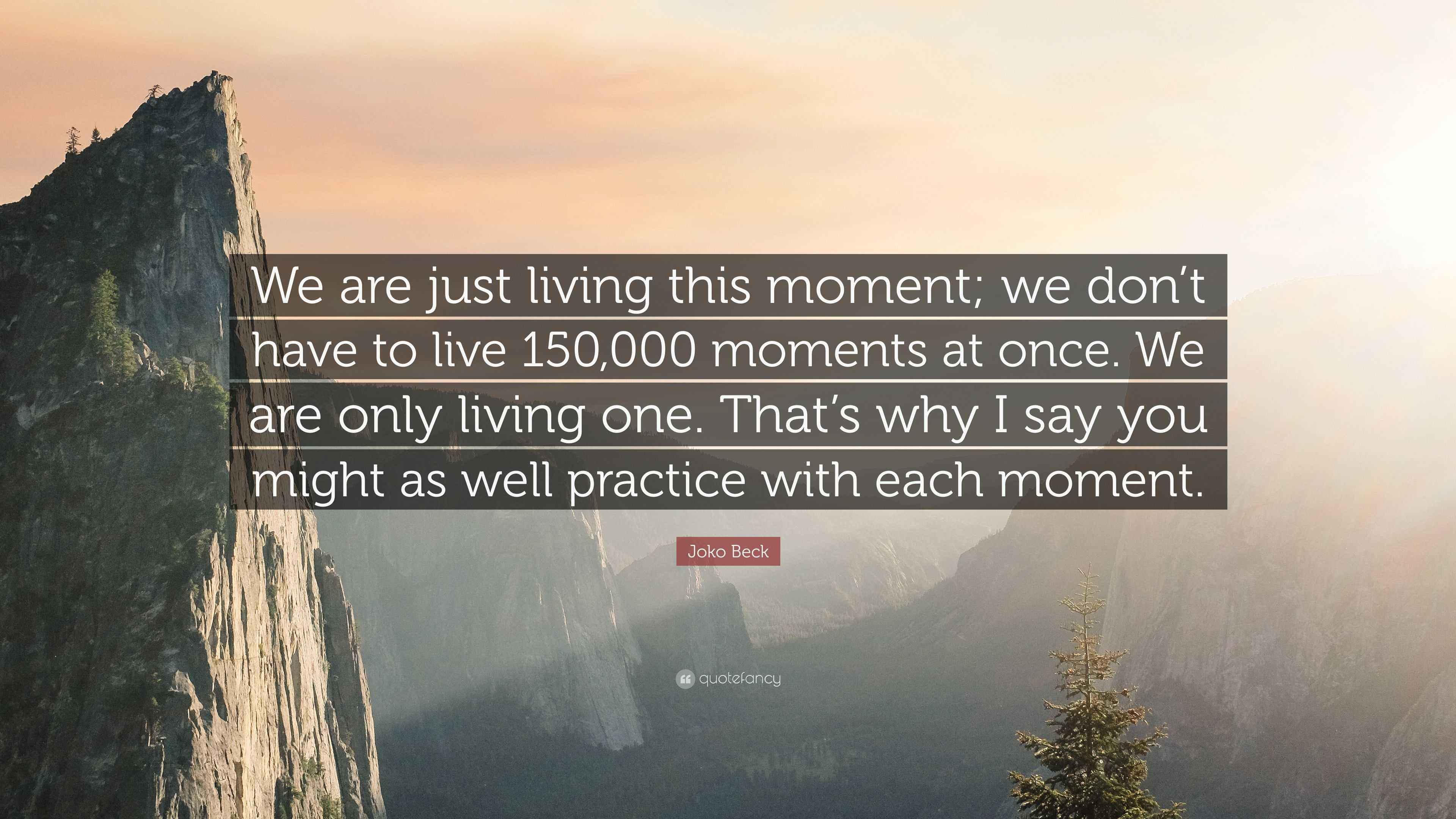 Joko Beck Quote: “We are just living this moment; we don’t have to live ...