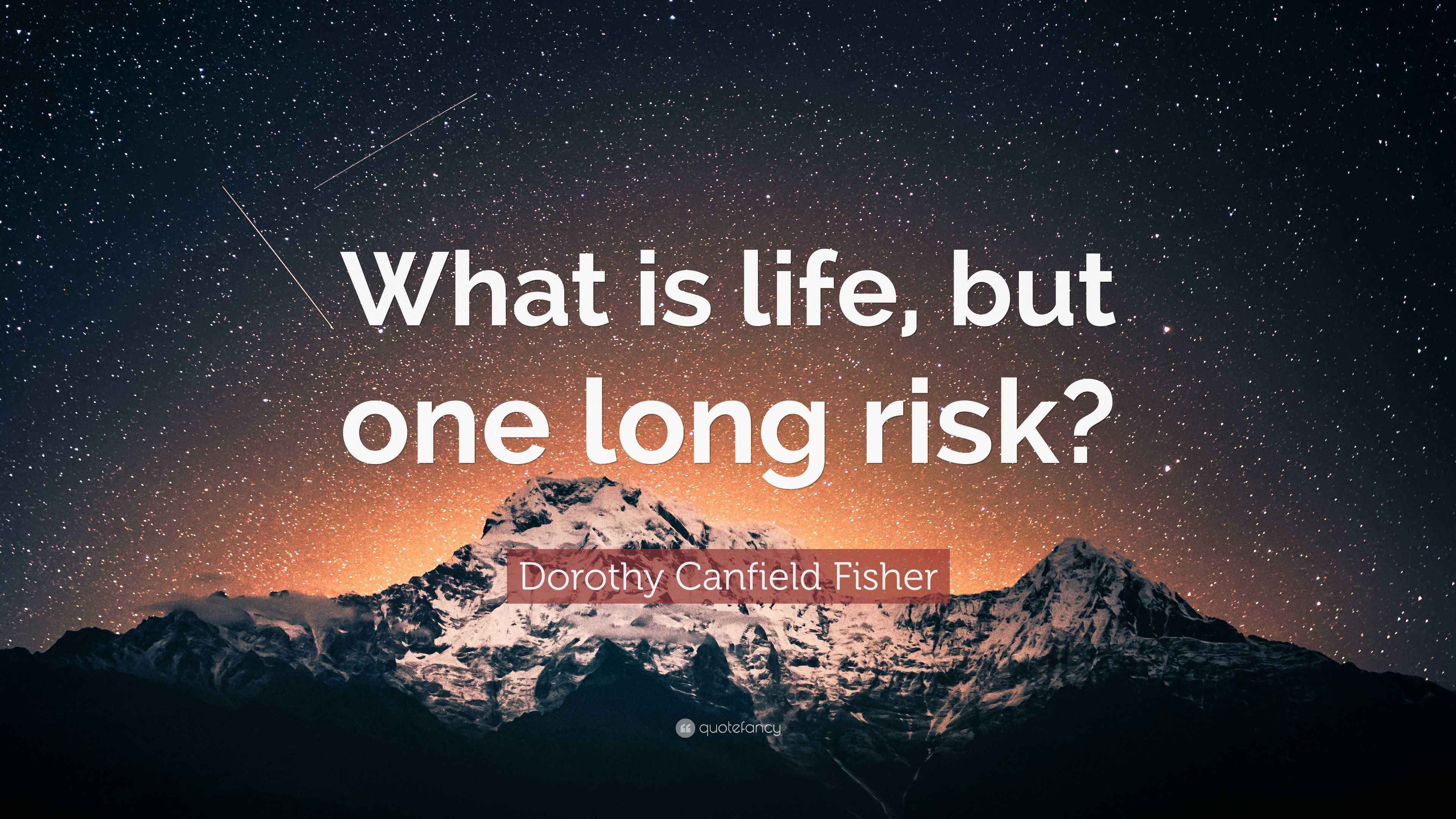 Dorothy Canfield Fisher Quote: “What is life, but one long risk?”