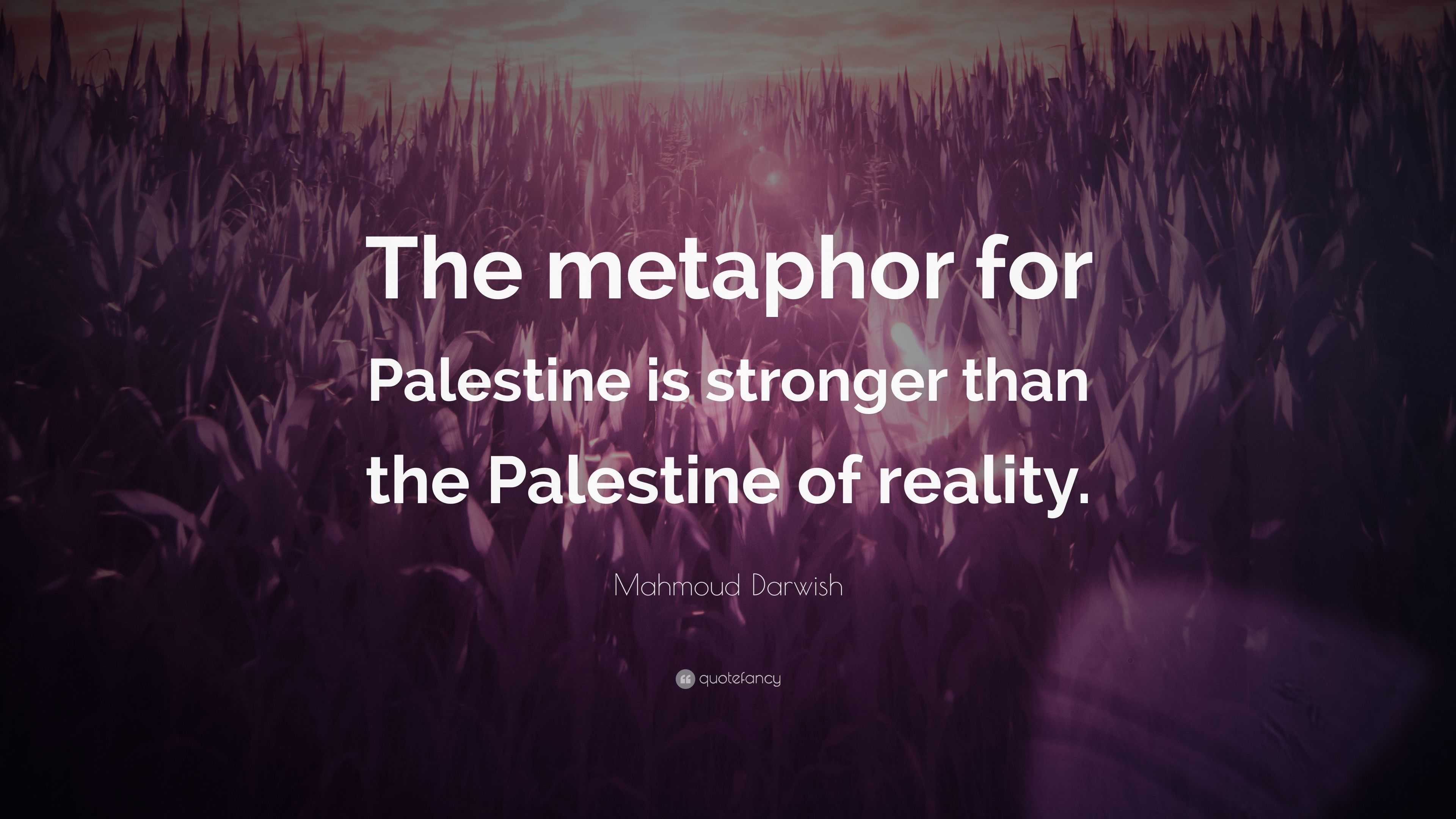 Mahmoud Darwish Quote: “The metaphor for Palestine is stronger than the ...