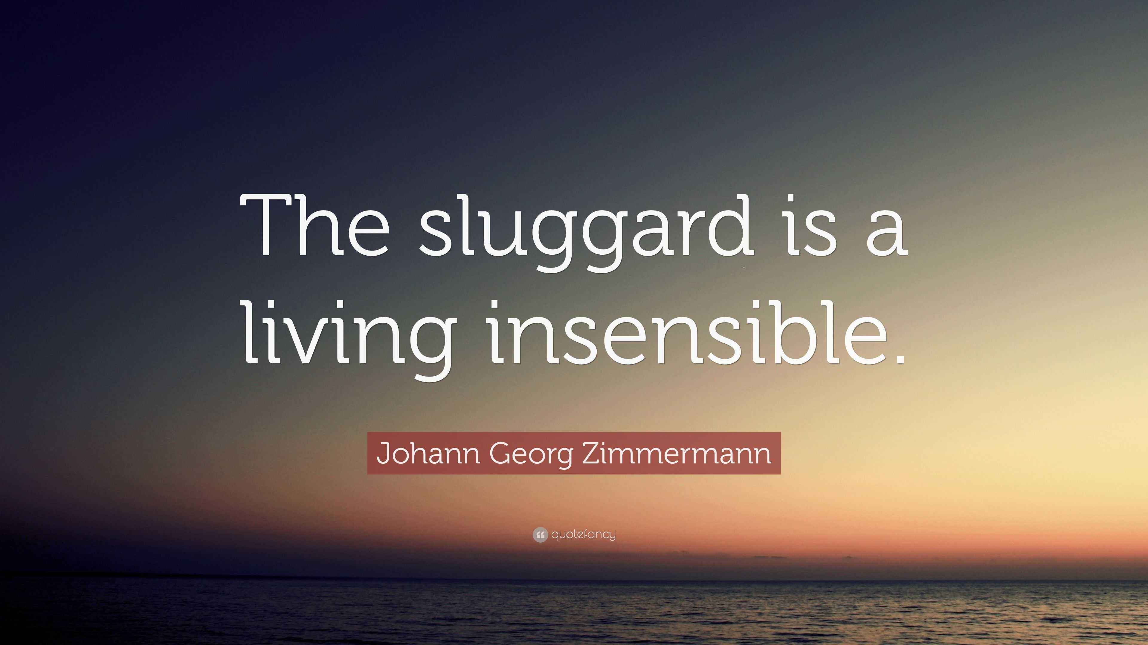 Johann Georg Zimmermann Quote: “The sluggard is a living insensible.”