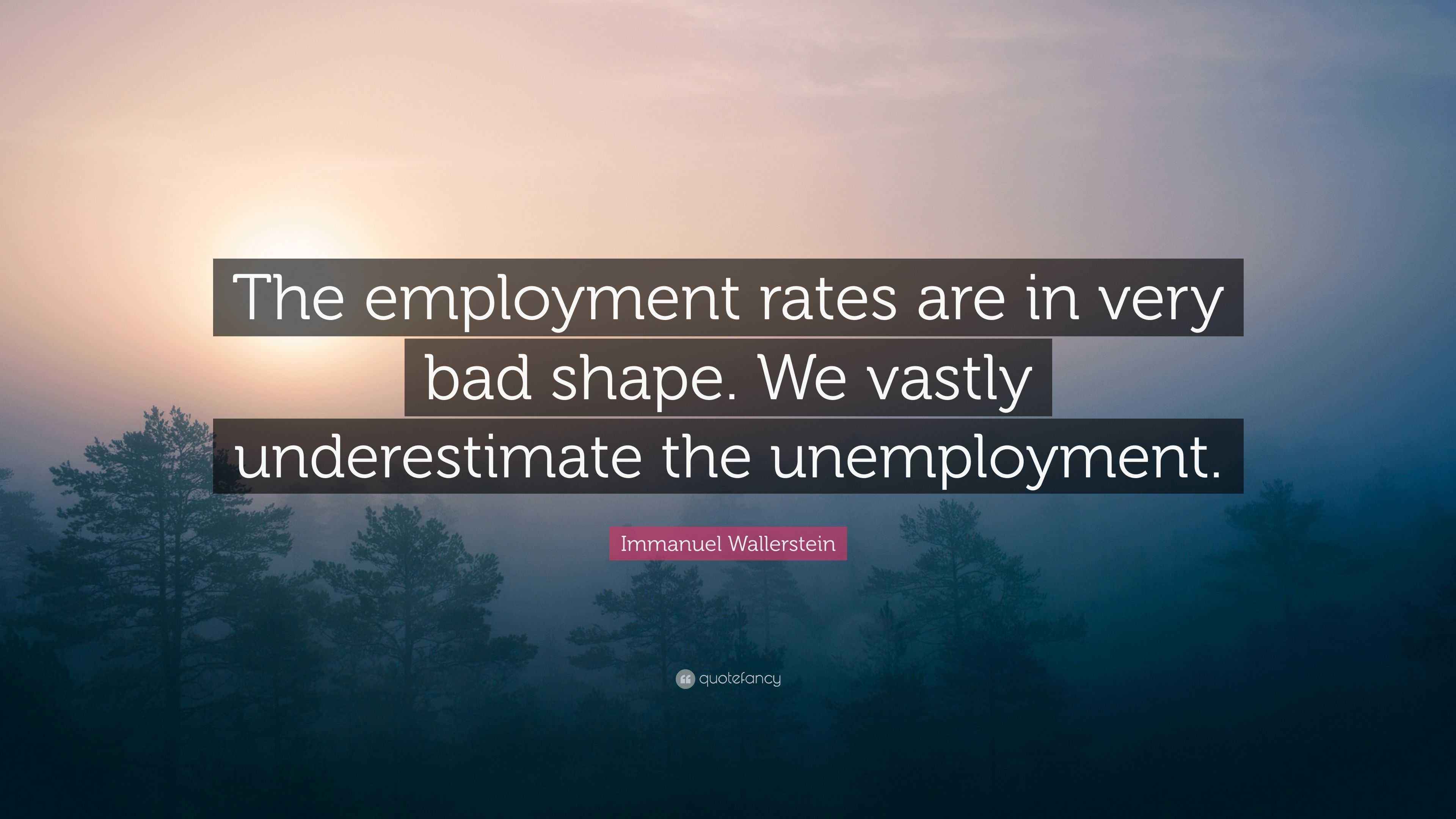 Immanuel Wallerstein Quote: “The employment rates are in very bad shape ...