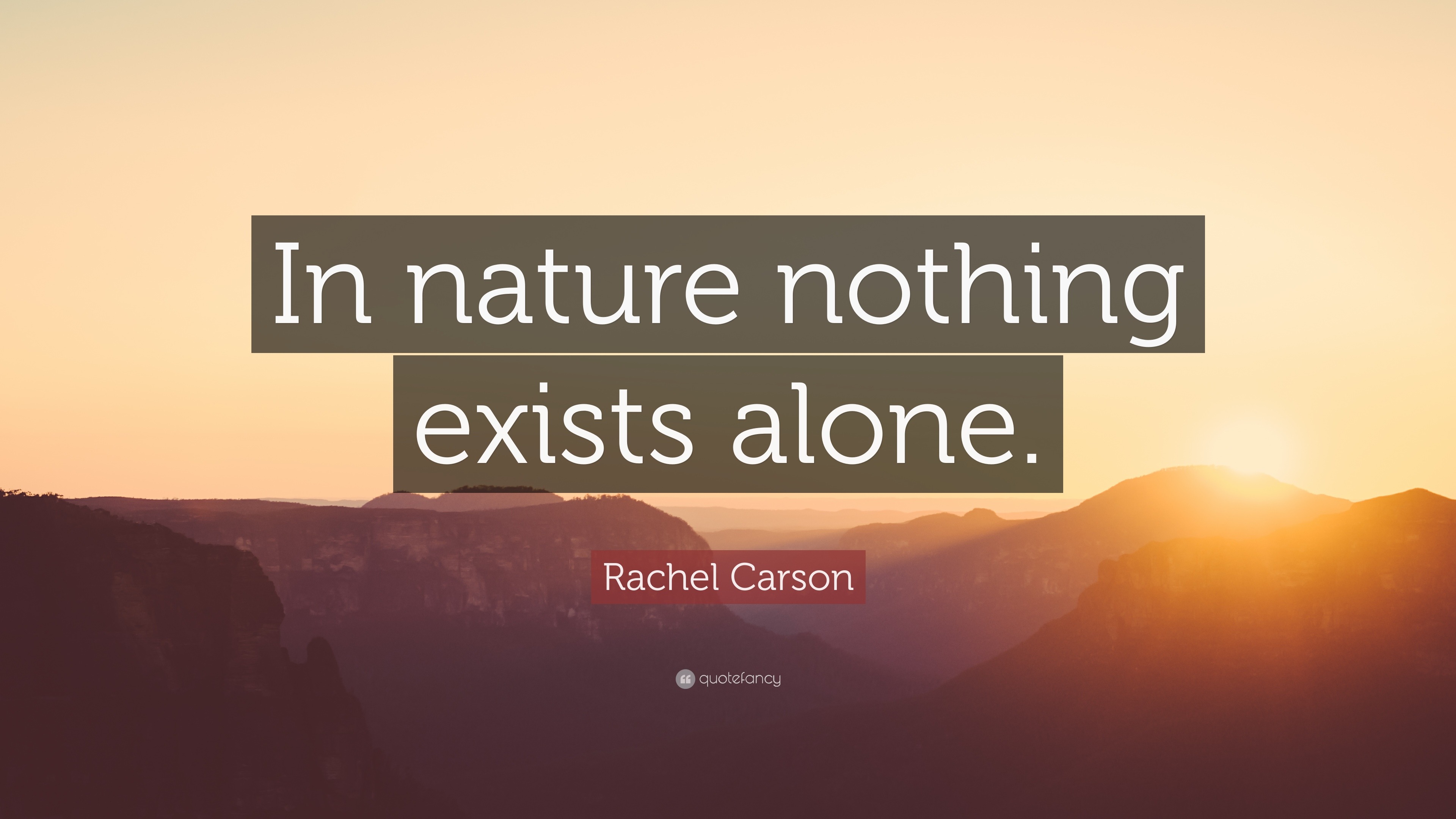 Rachel Carson Quote: “In nature nothing exists alone.”
