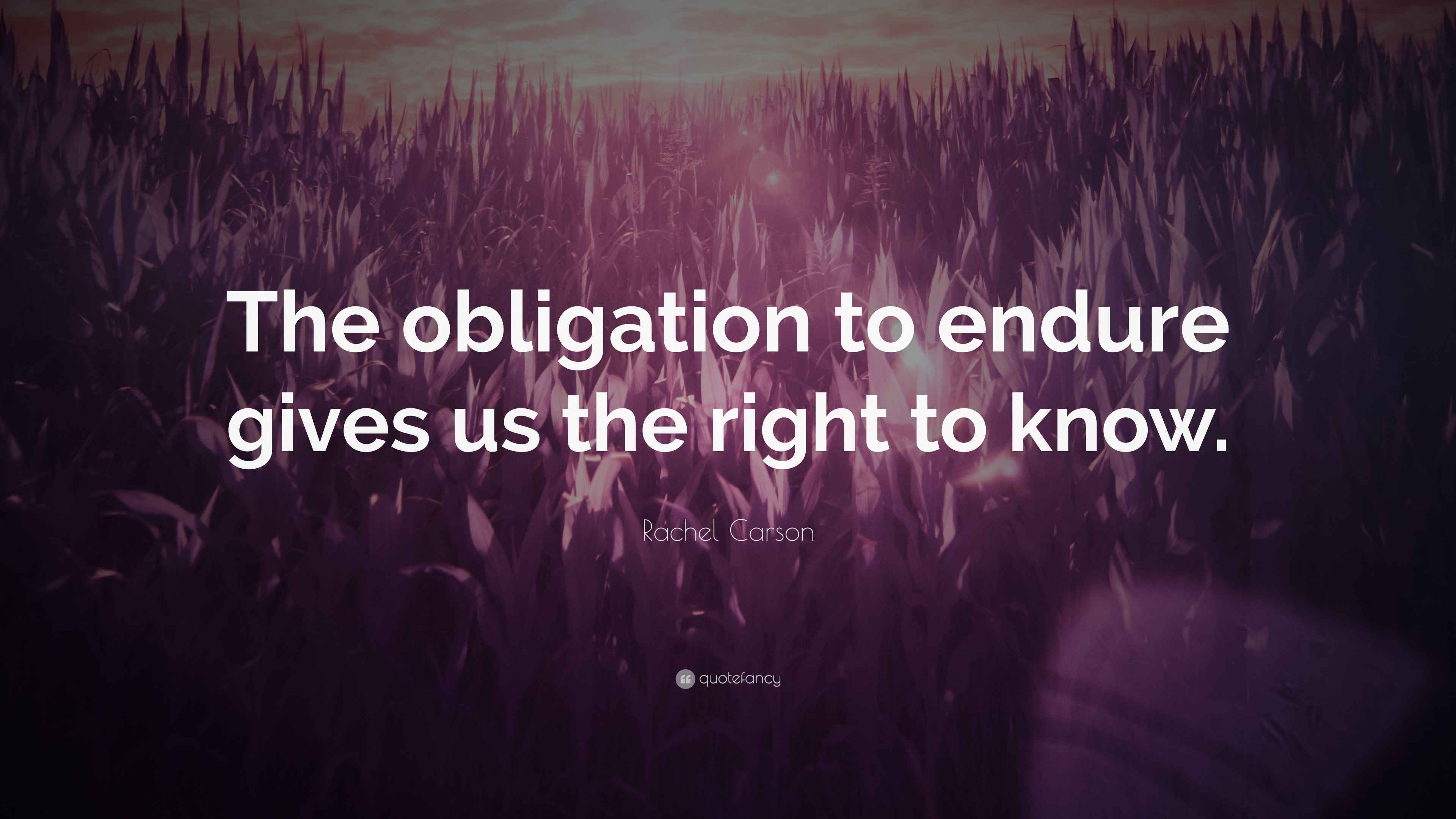Rachel Carson Quote: “The obligation to endure gives us the right to know.”