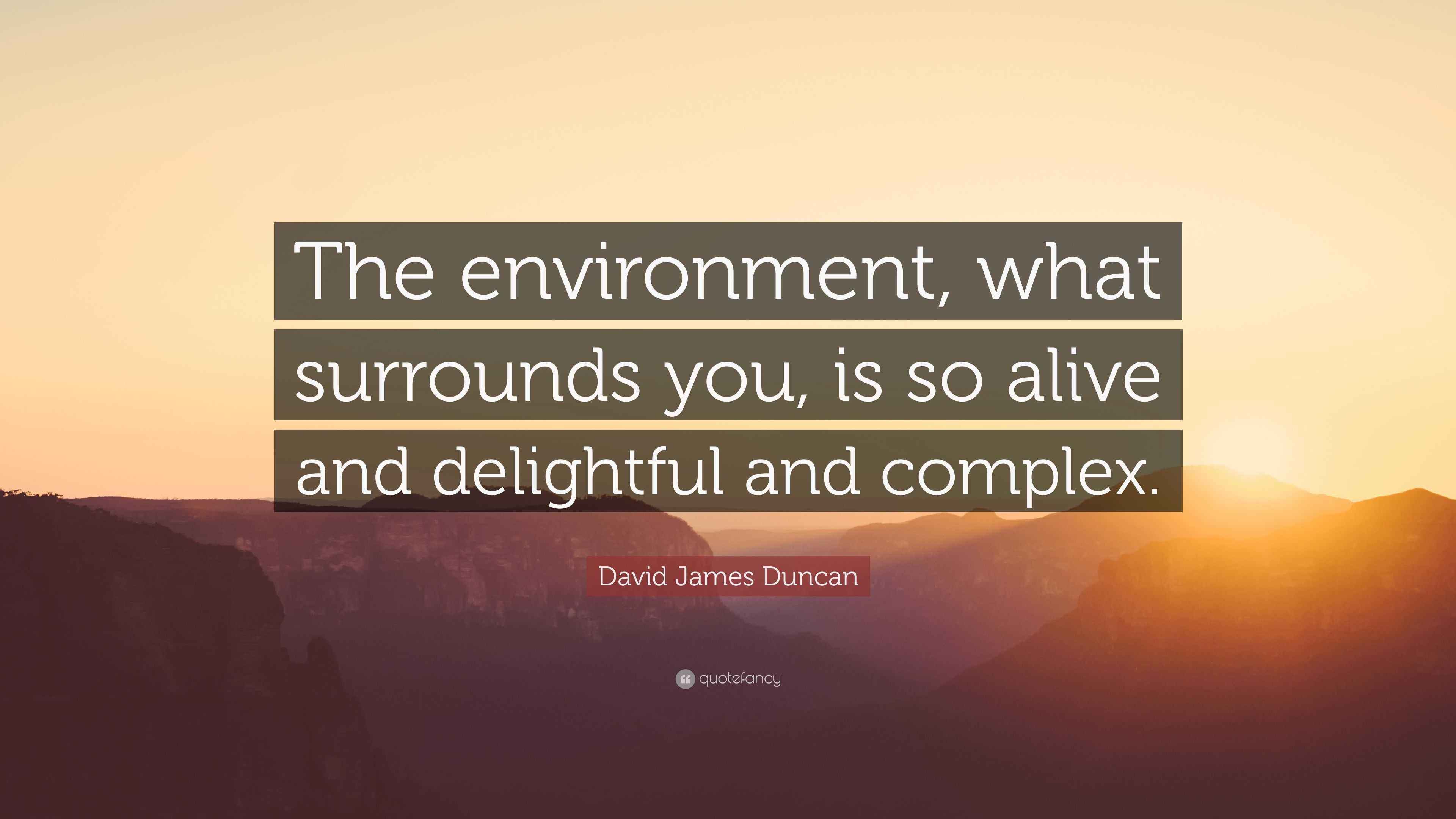 David James Duncan Quote: “The environment, what surrounds you, is so ...