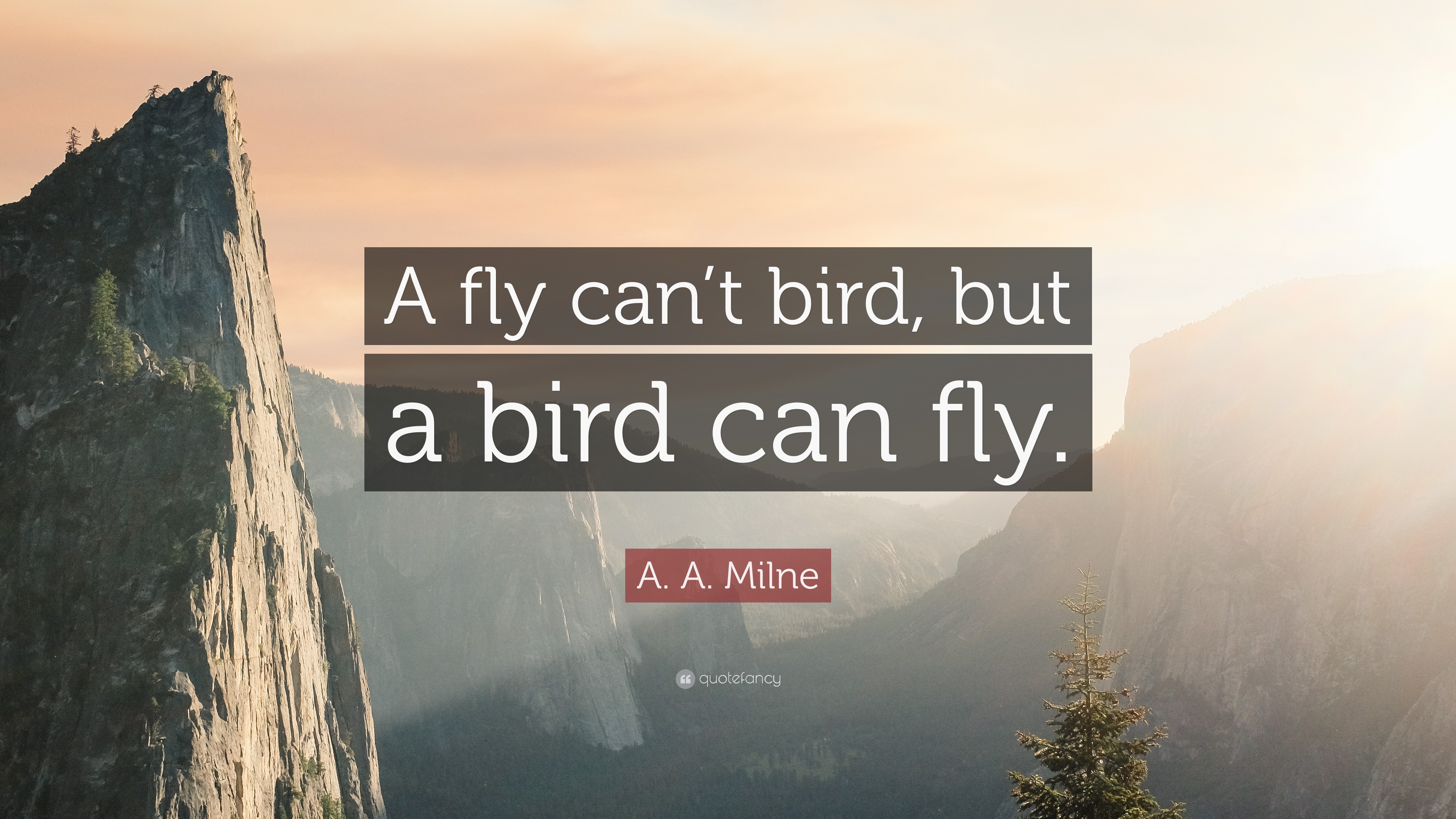 A. A. Milne Quote: “A fly can’t bird, but a bird can fly.”
