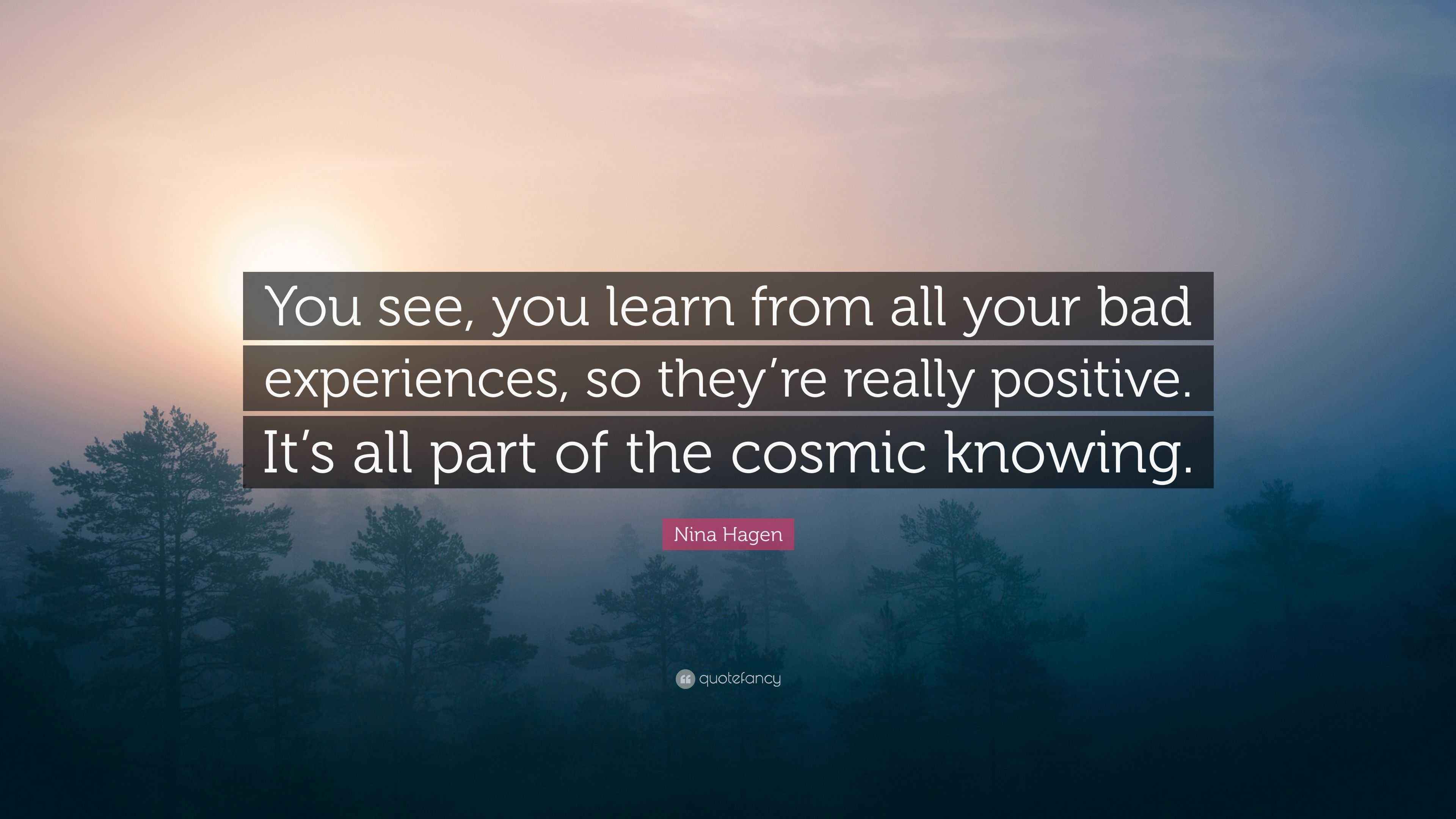 Nina Hagen Quote: “You see, you learn from all your bad experiences, so ...