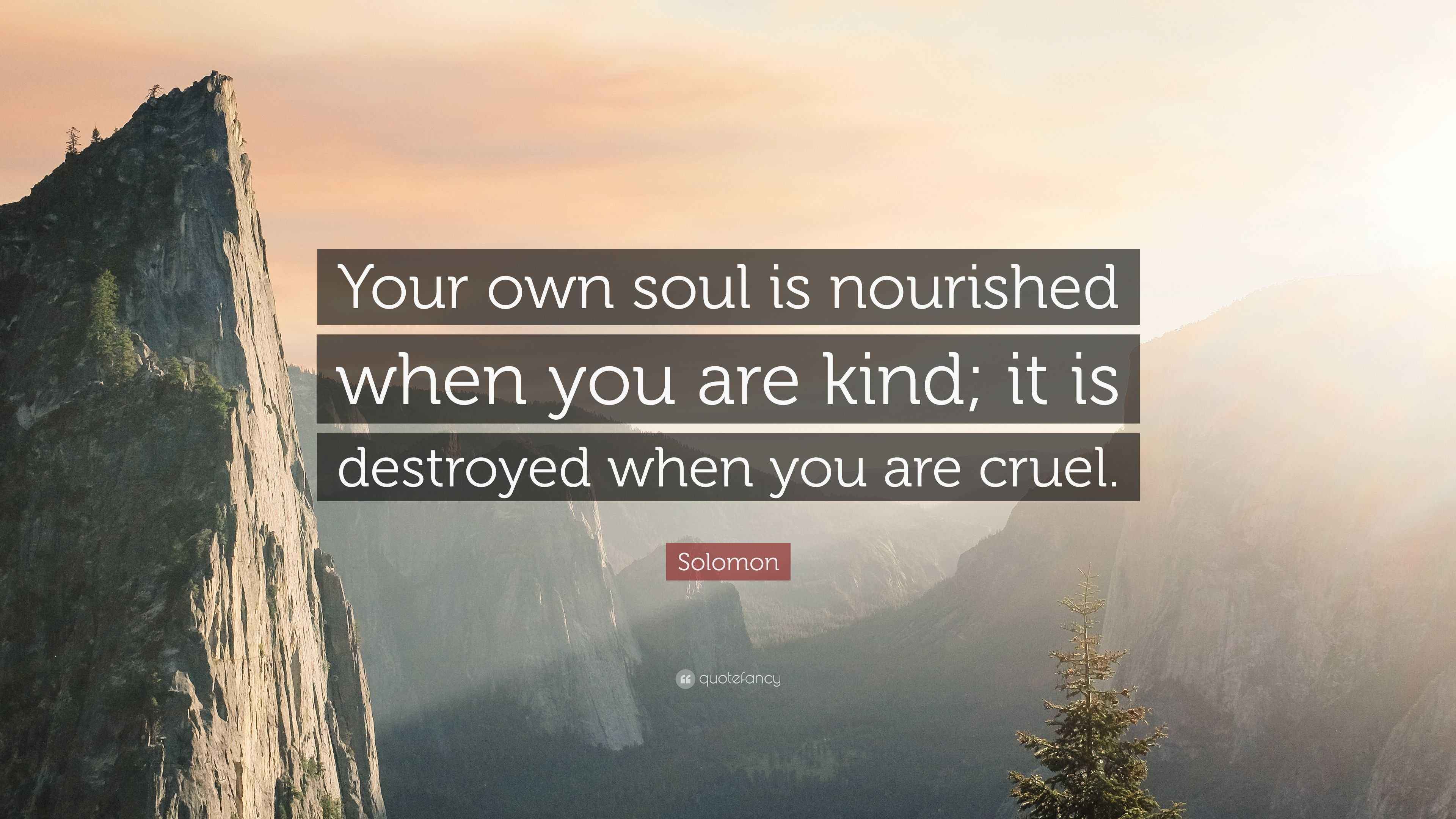 Solomon Quote: “Your own soul is nourished when you are kind; it is ...