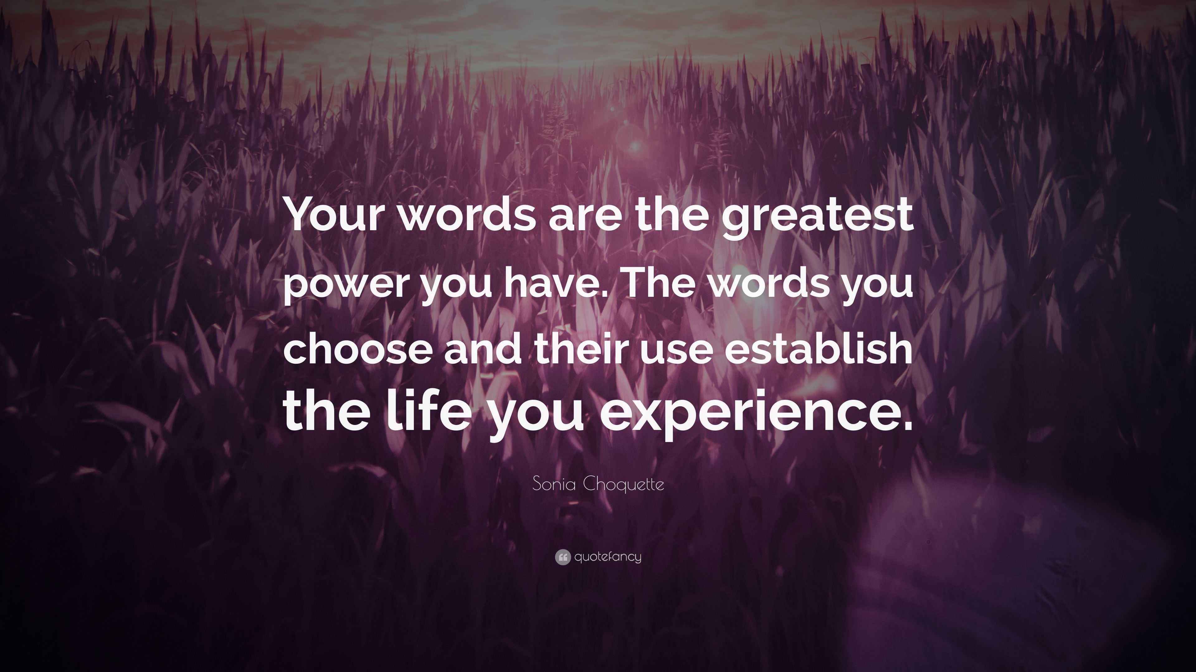 Sonia Choquette Quote: “Your words are the greatest power you have. The ...