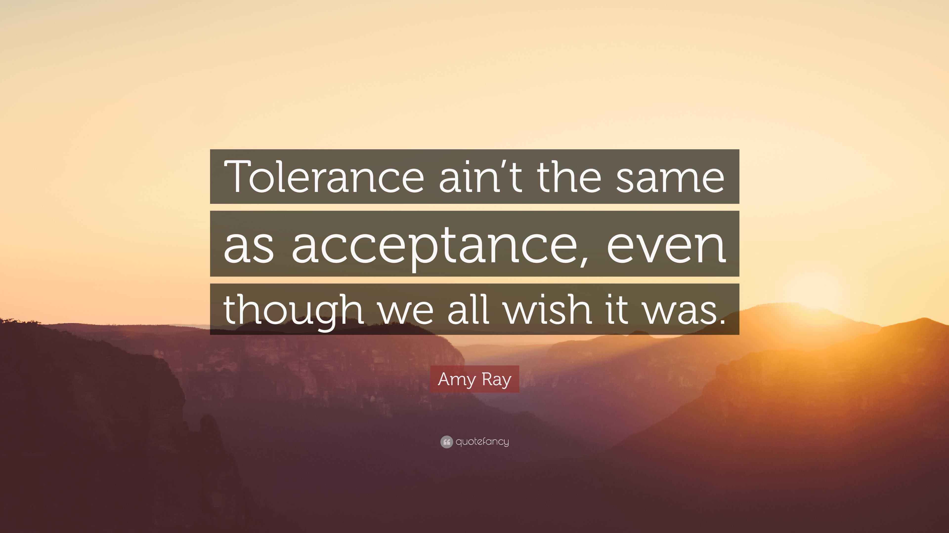 Amy Ray Quote: “Tolerance ain’t the same as acceptance, even though we ...