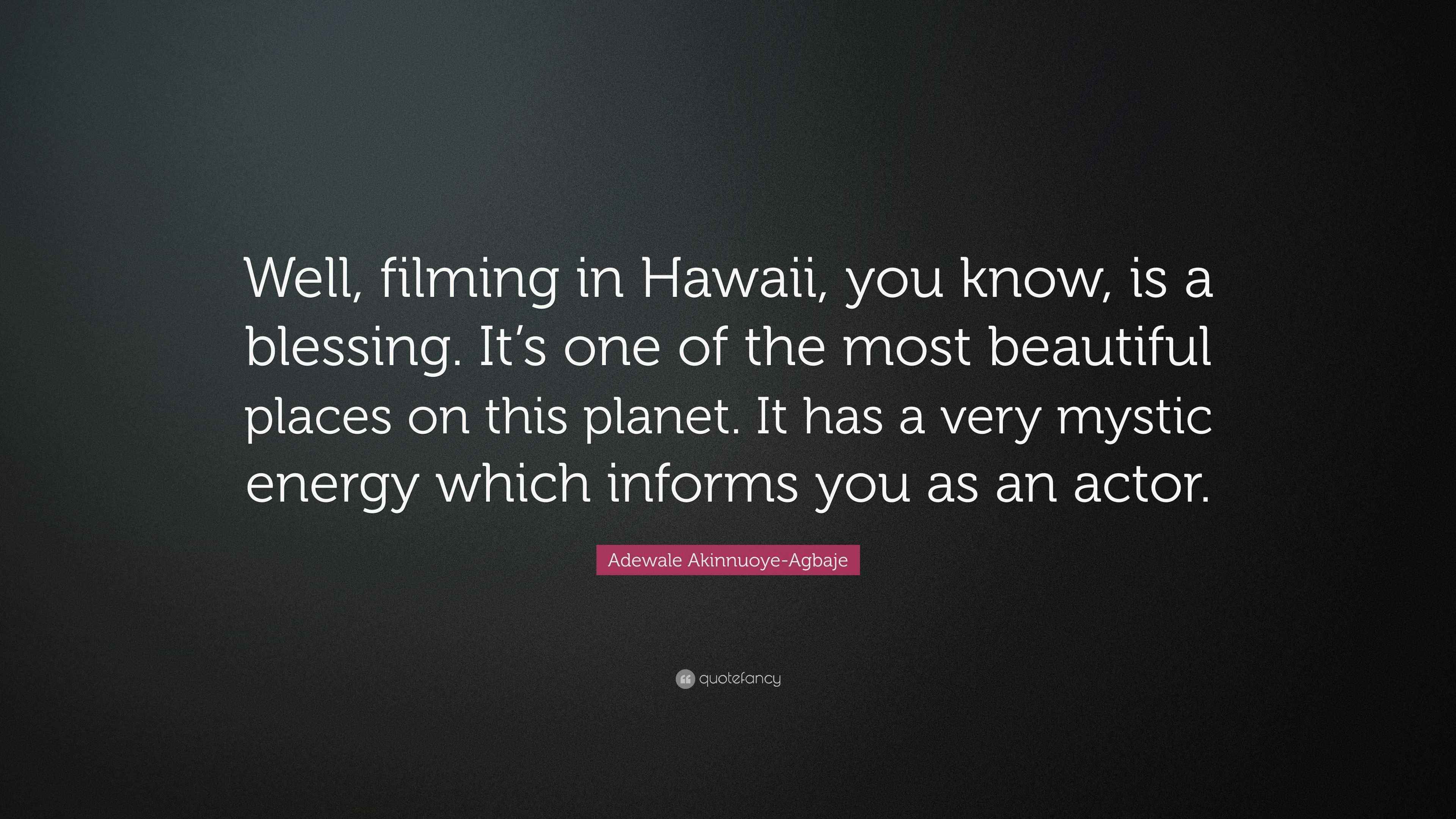 Adewale Akinnuoye-Agbaje Quote: “Well, filming in Hawaii, you know, is ...
