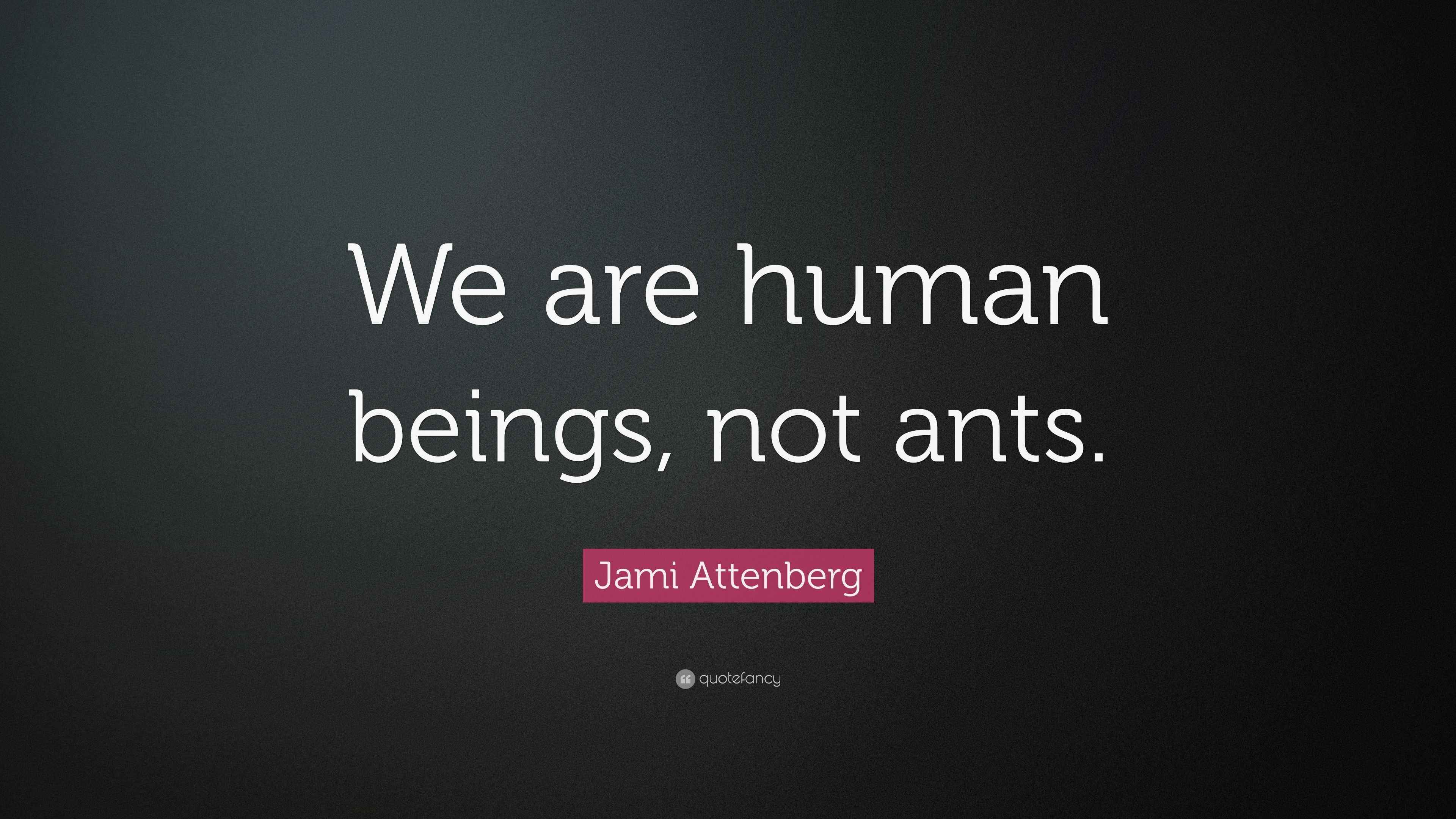 Jami Attenberg Quote: “We are human beings, not ants.”
