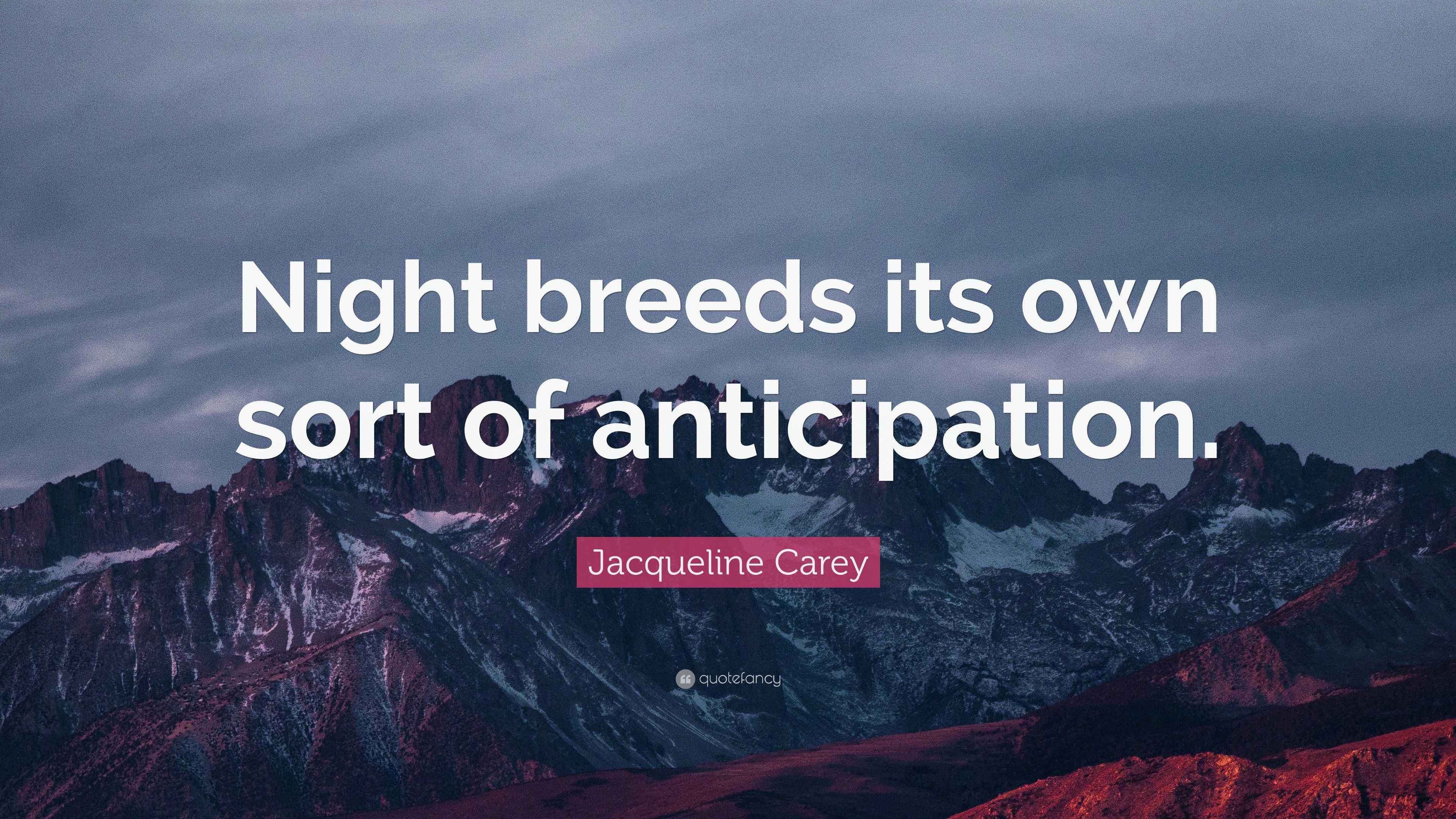Jacqueline Carey Quote: “Night breeds its own sort of anticipation.”