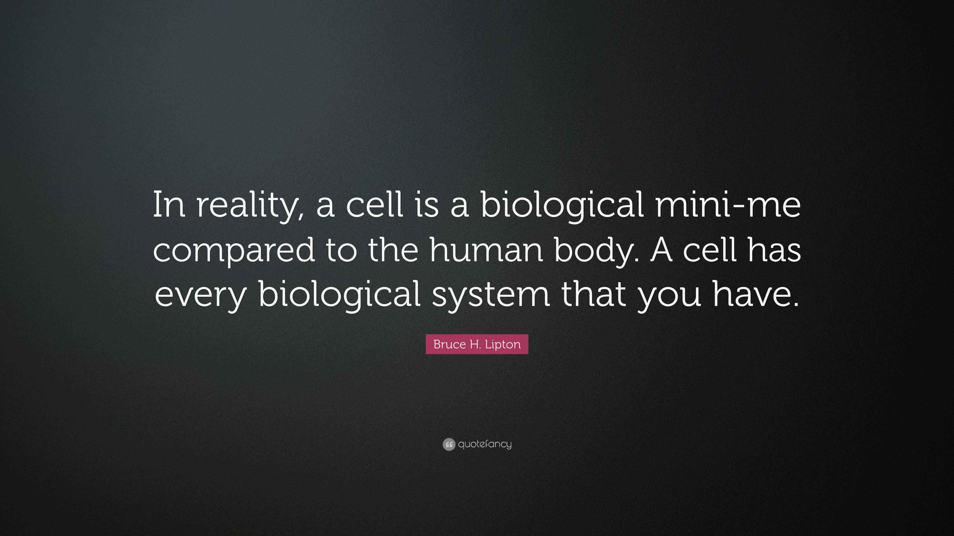 Bruce H. Lipton Quote: “In reality, a cell is a biological mini-me ...