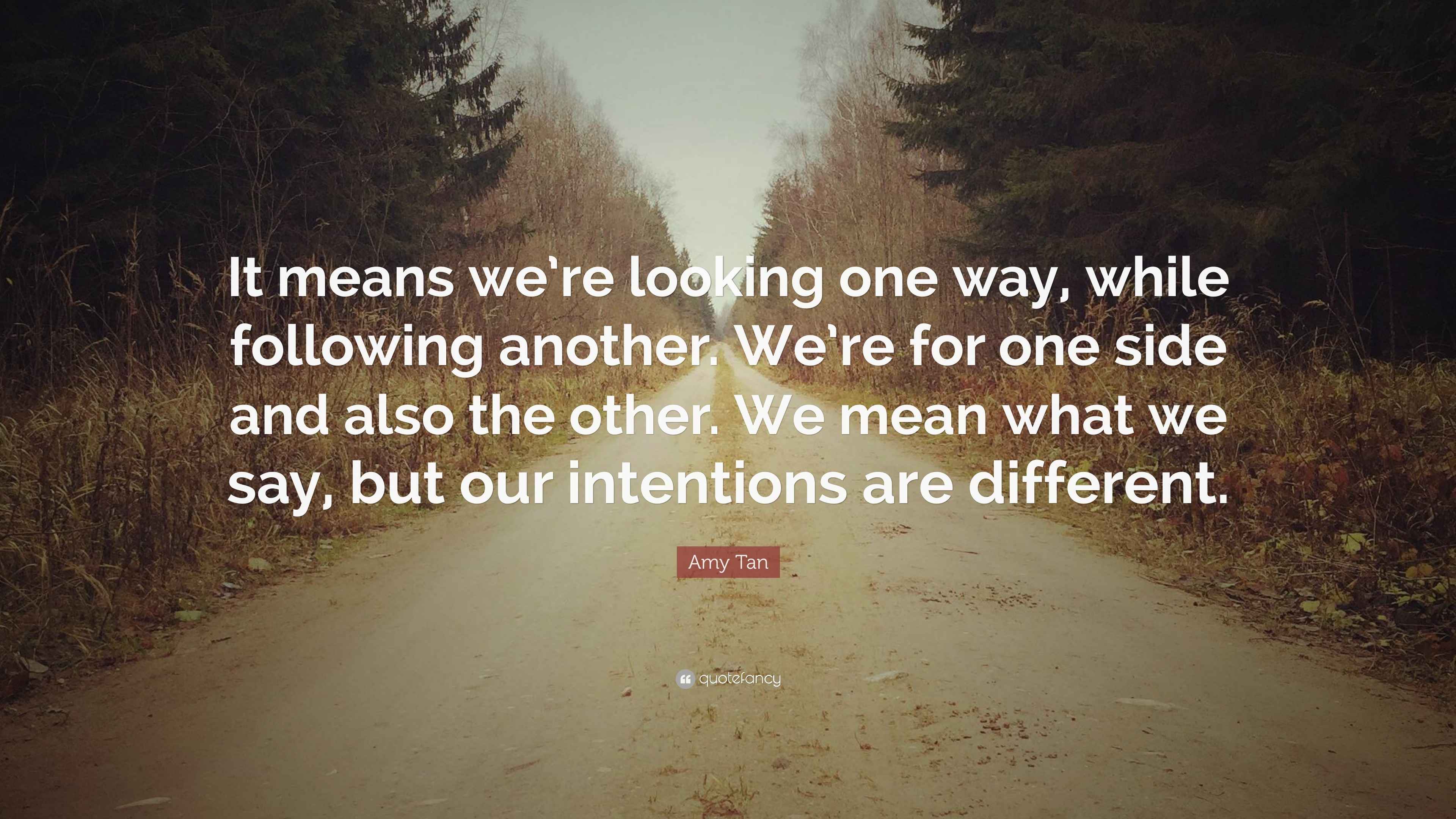 Amy Tan Quote: “It means we’re looking one way, while following another ...