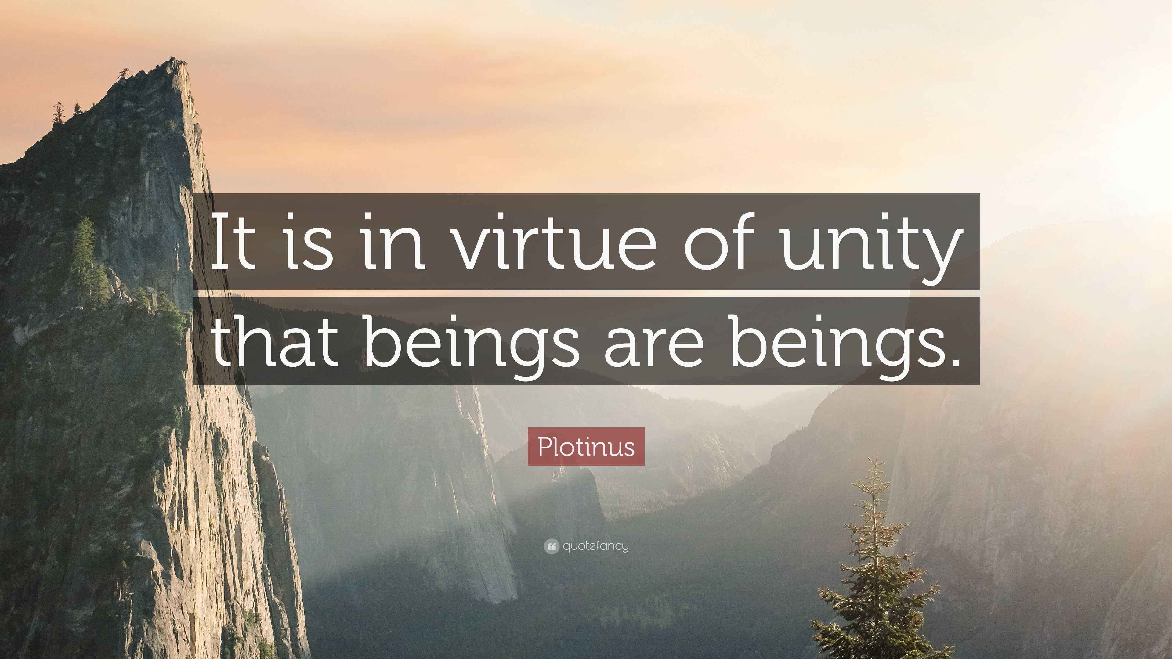 Plotinus Quote: “It is in virtue of unity that beings are beings.”