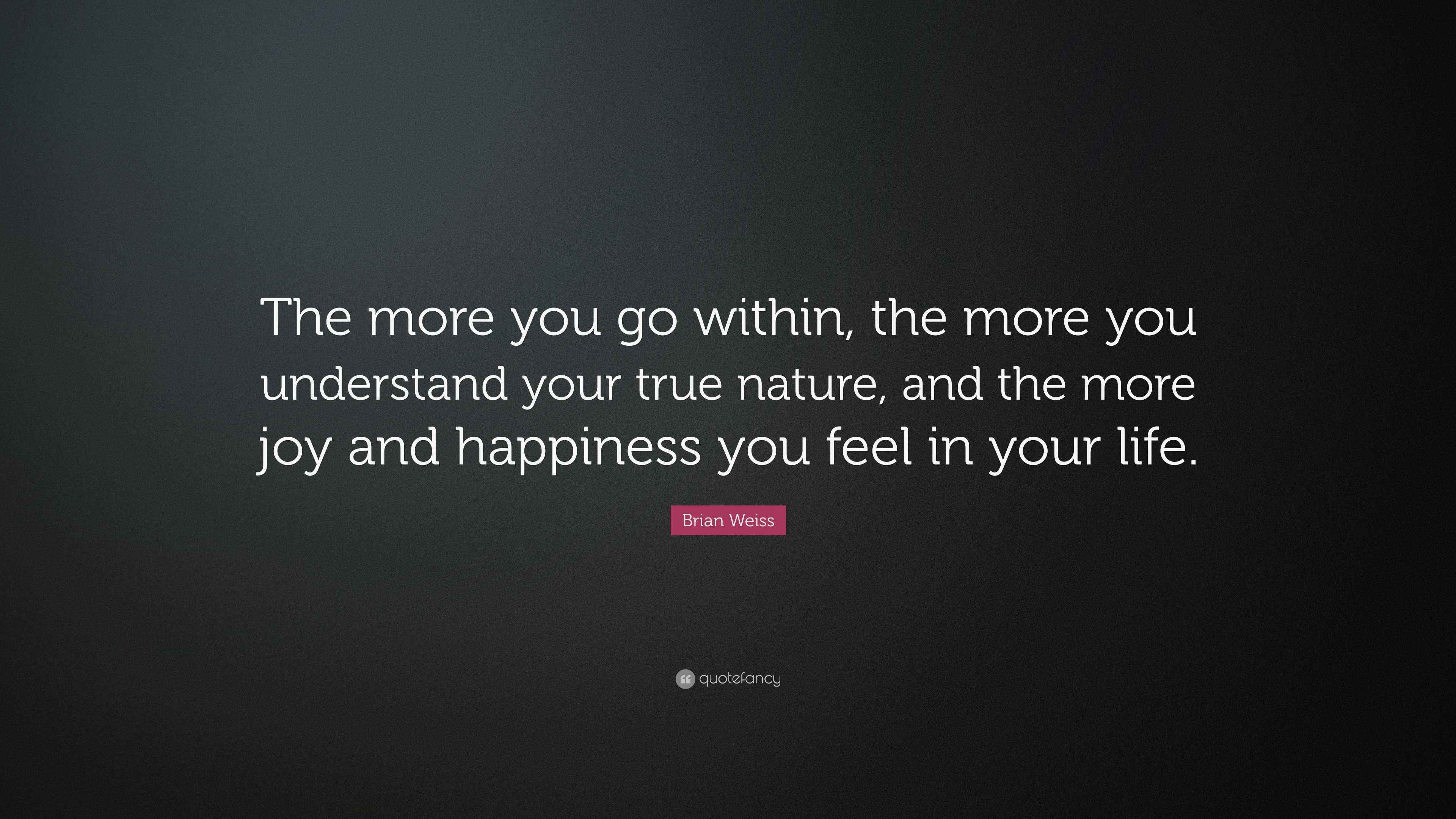 Brian Weiss Quote: “The more you go within, the more you understand ...