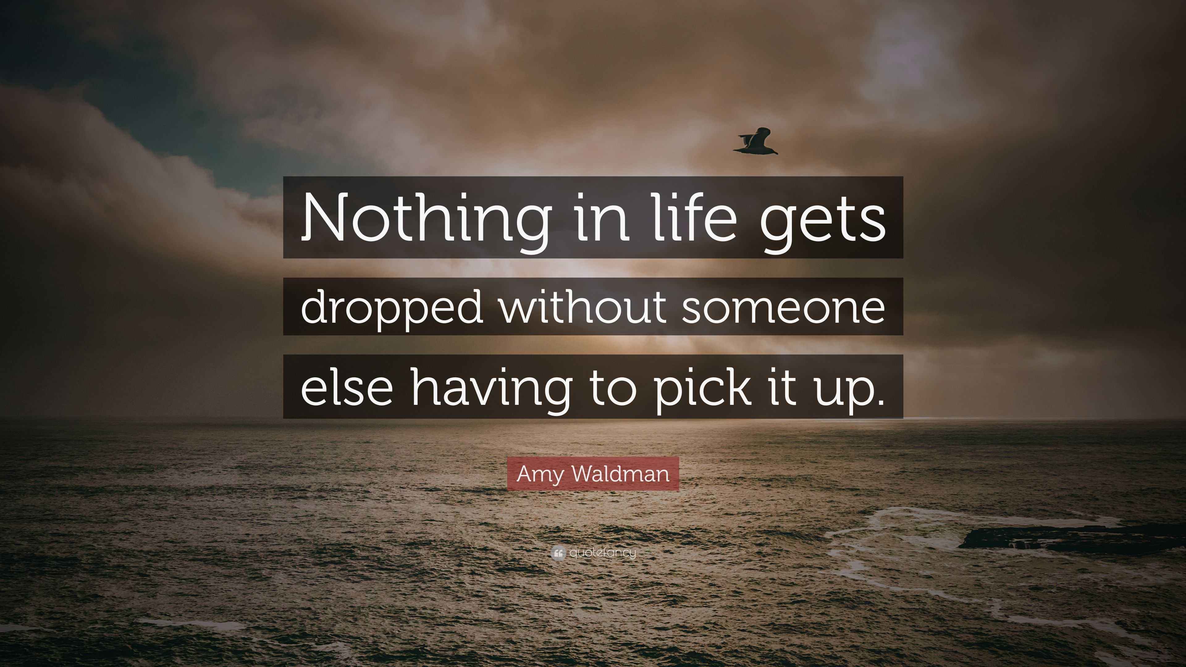 Amy Waldman Quote: “Nothing in life gets dropped without someone else ...