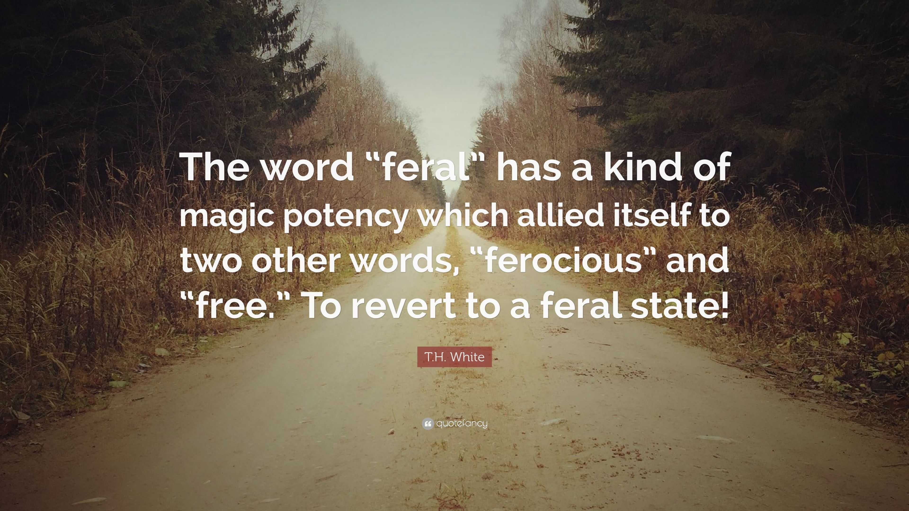 T.H. White Quote: “The word “feral” has a kind of magic potency which ...