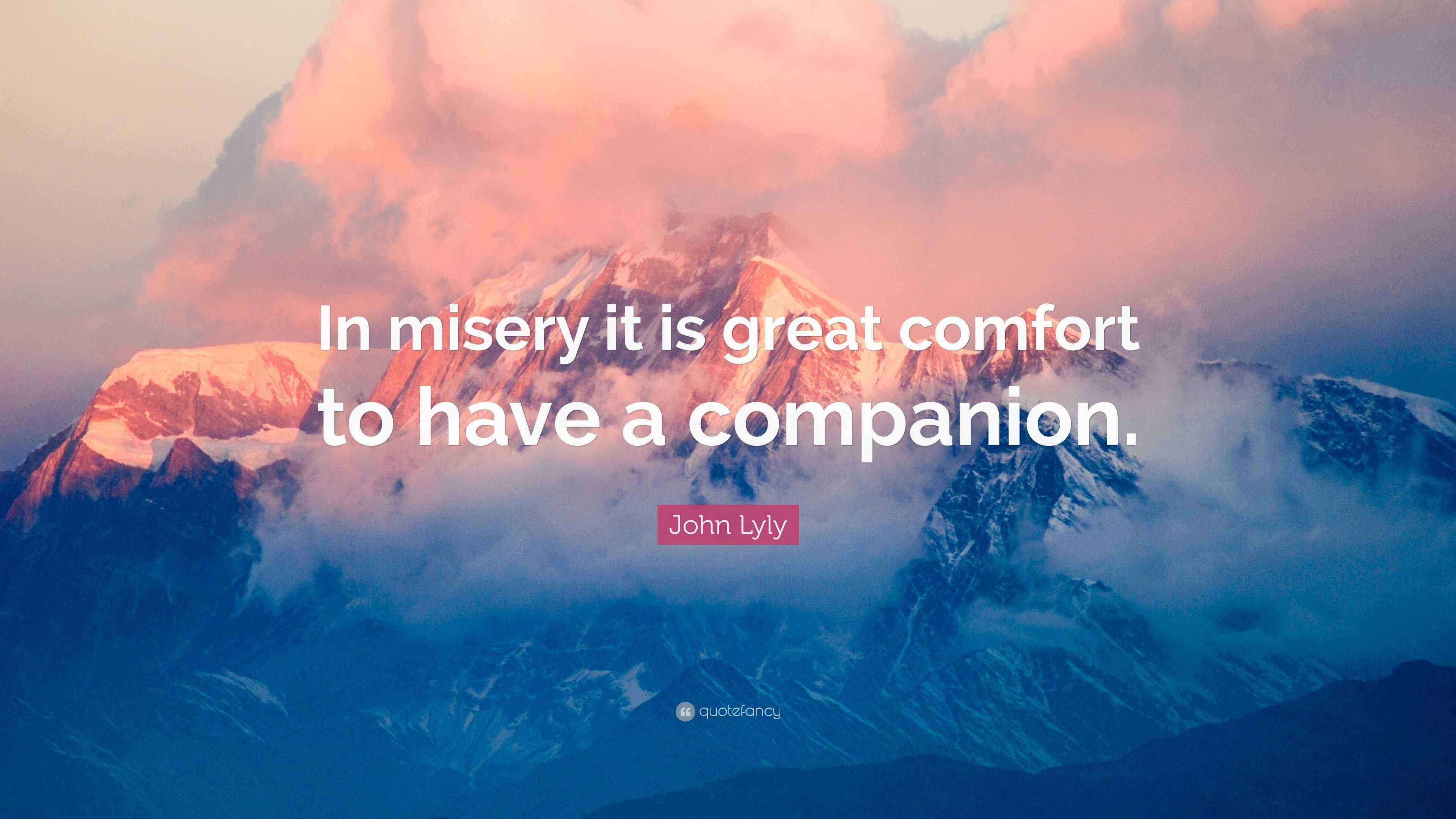 John Lyly Quote: “In misery it is great comfort to have a companion.”