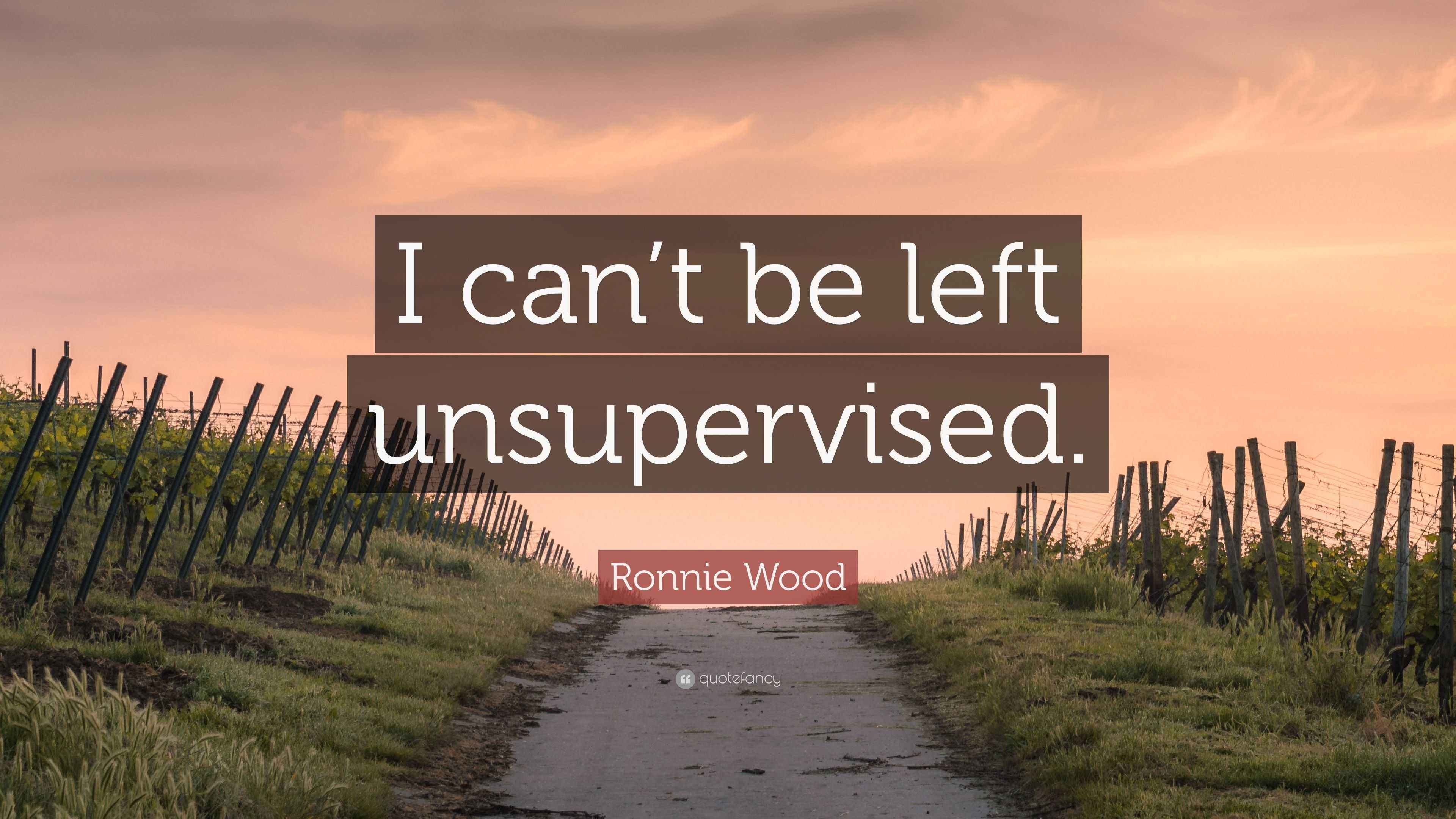 Ronnie Wood Quote: “I can’t be left unsupervised.”