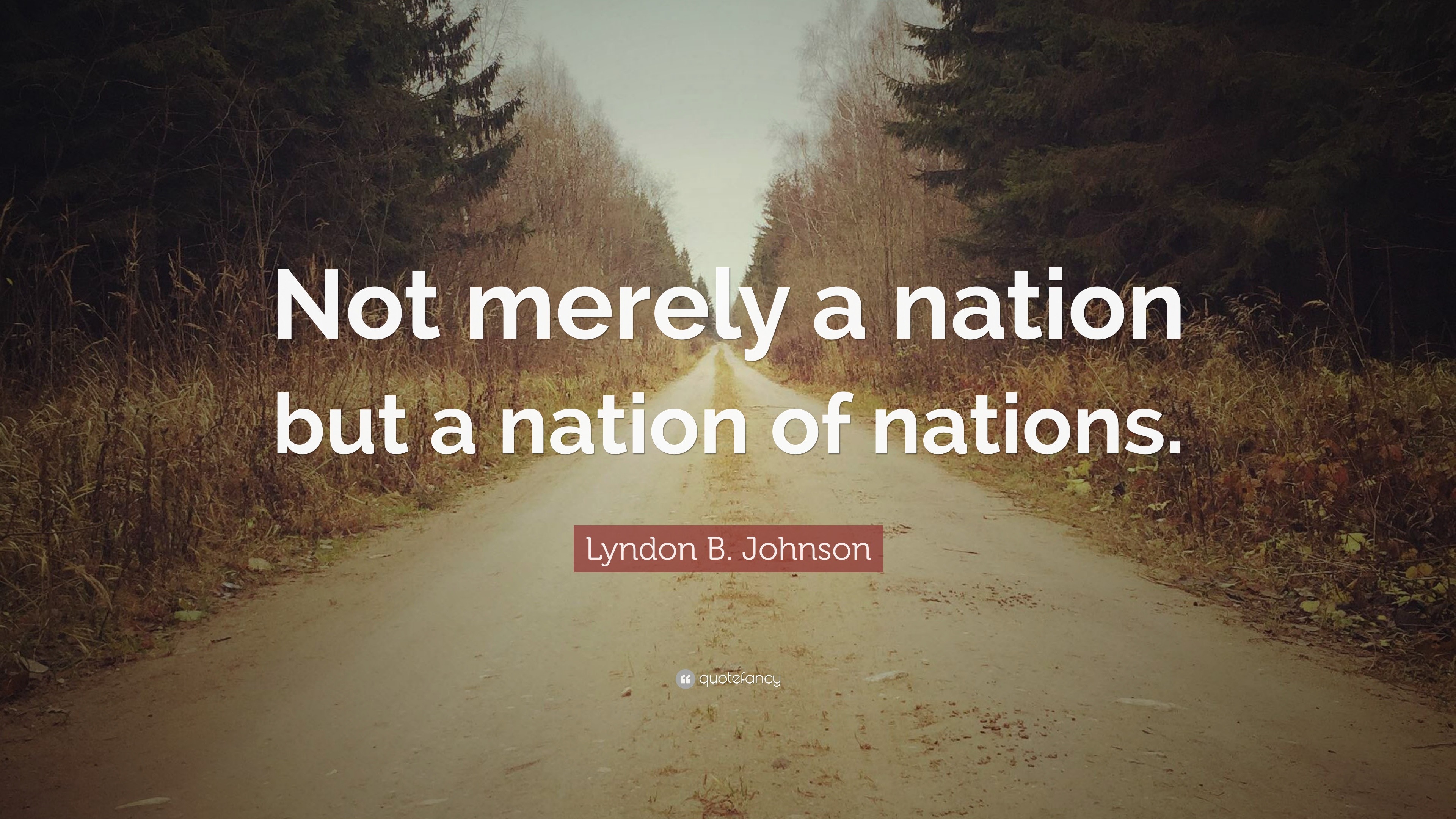 Lyndon B. Johnson Quote: “Not merely a nation but a nation of nations.”
