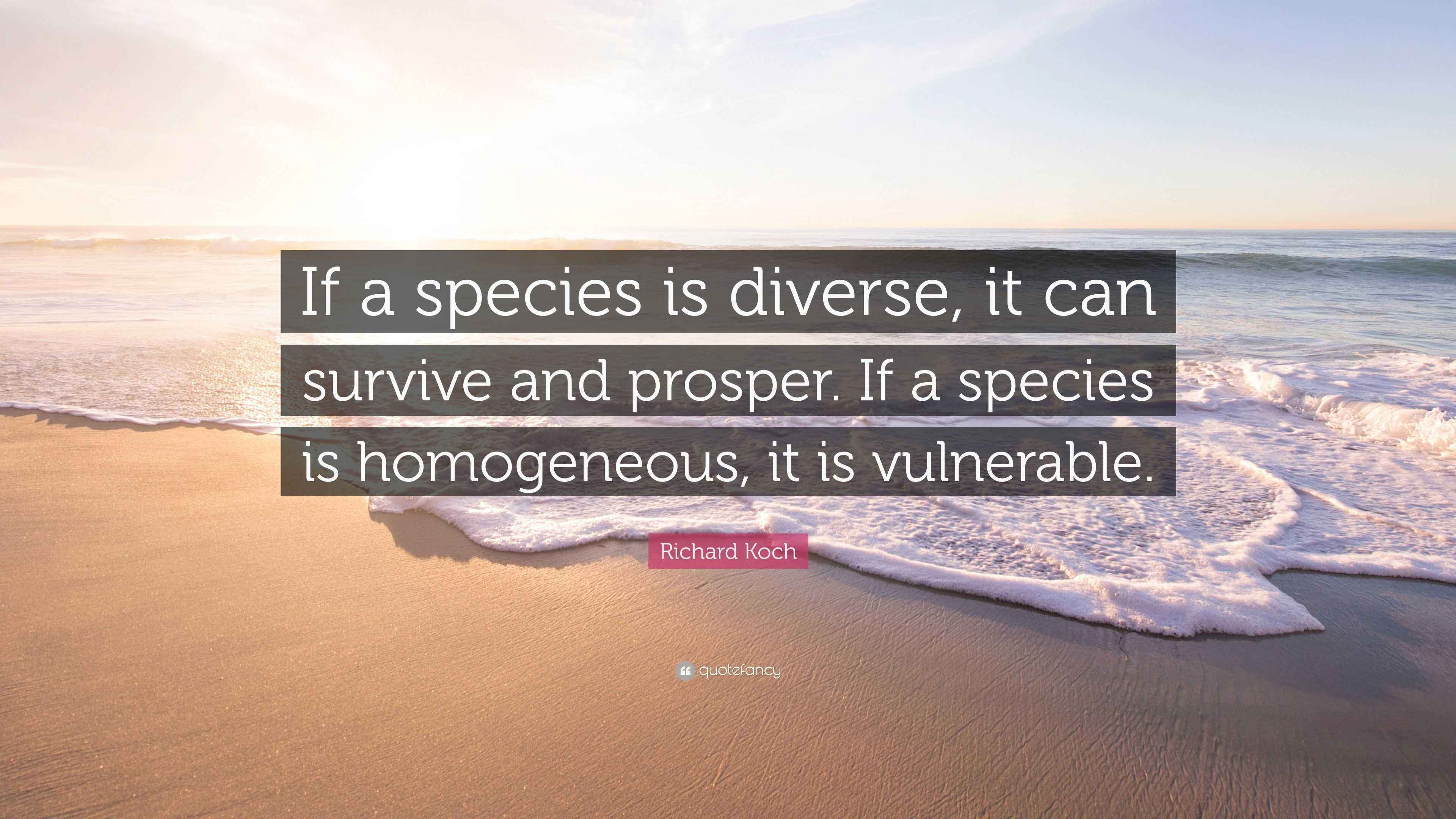 Richard Koch Quote: “If a species is diverse, it can survive and ...