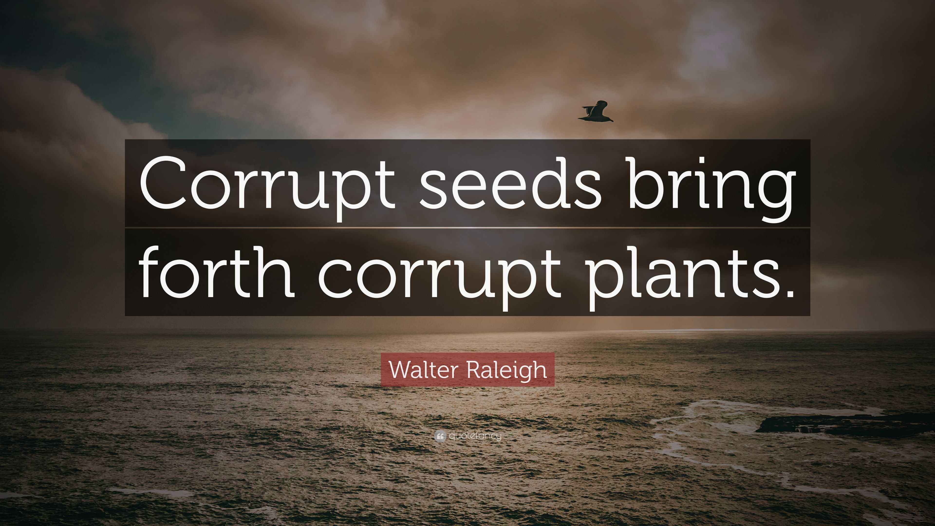 Walter Raleigh Quote: “Corrupt seeds bring forth corrupt plants.”