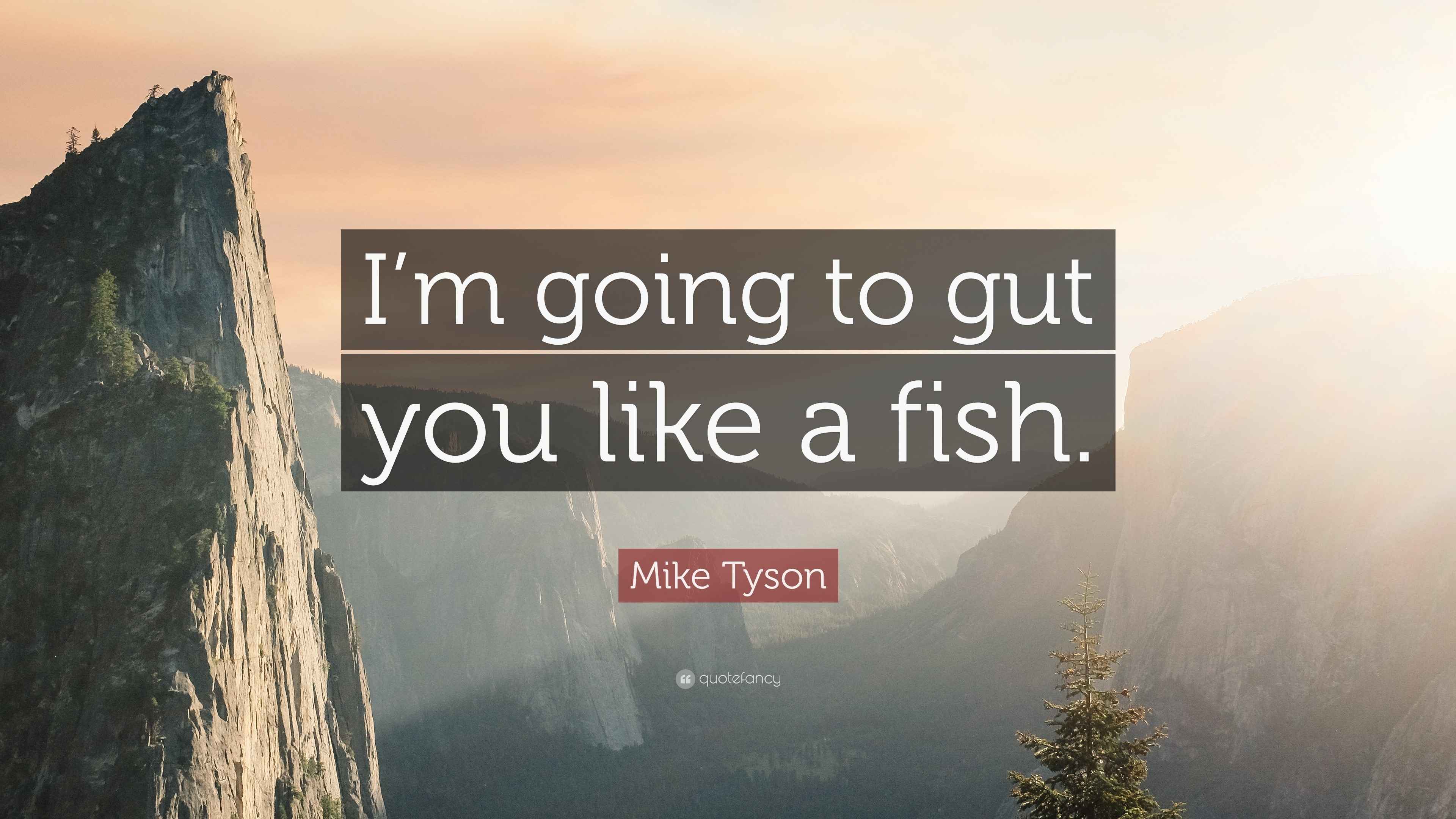 Mike Tyson Quote: “I’m going to gut you like a fish.”