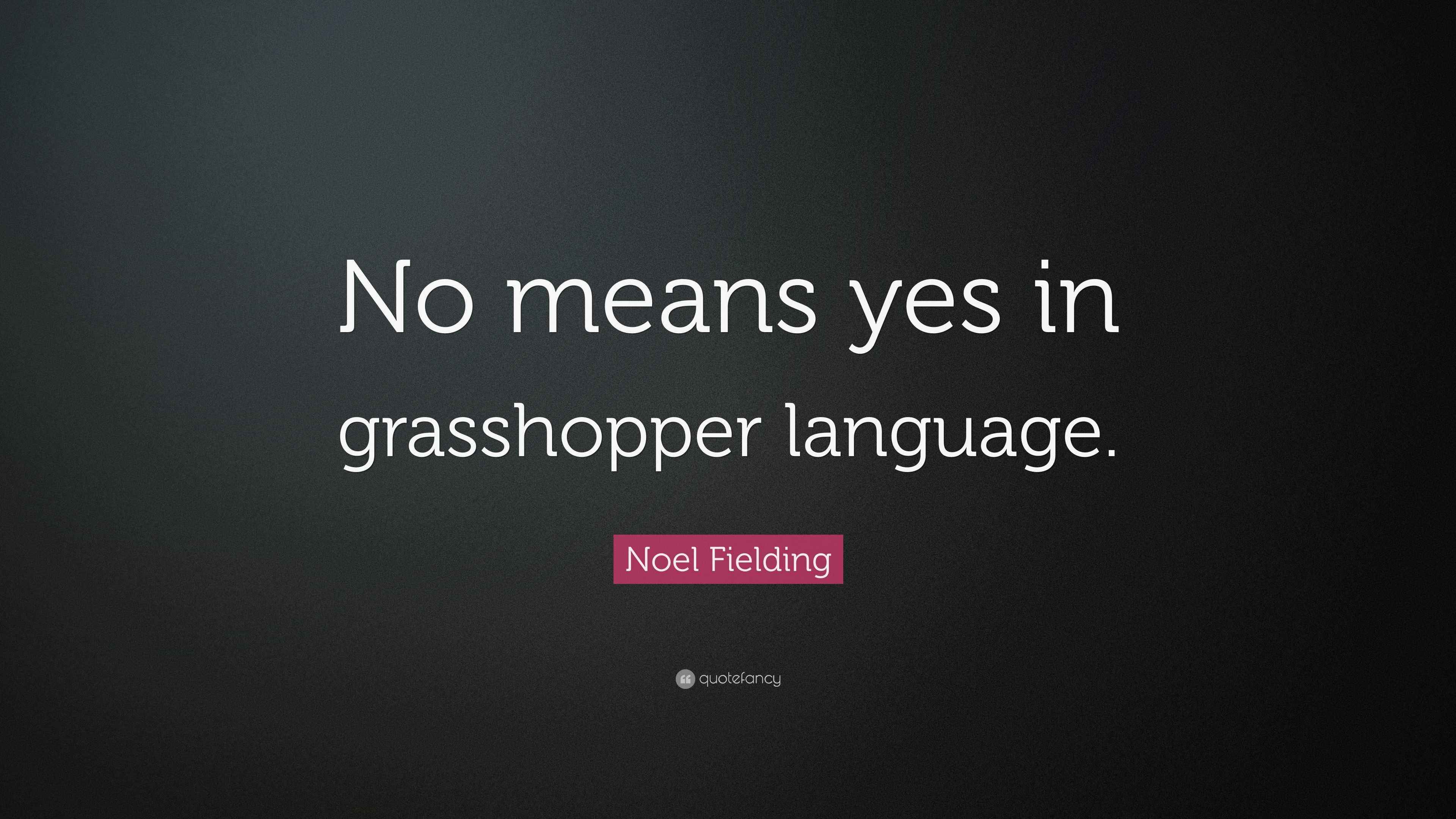 Noel Fielding Quote: “No means yes in grasshopper language.”