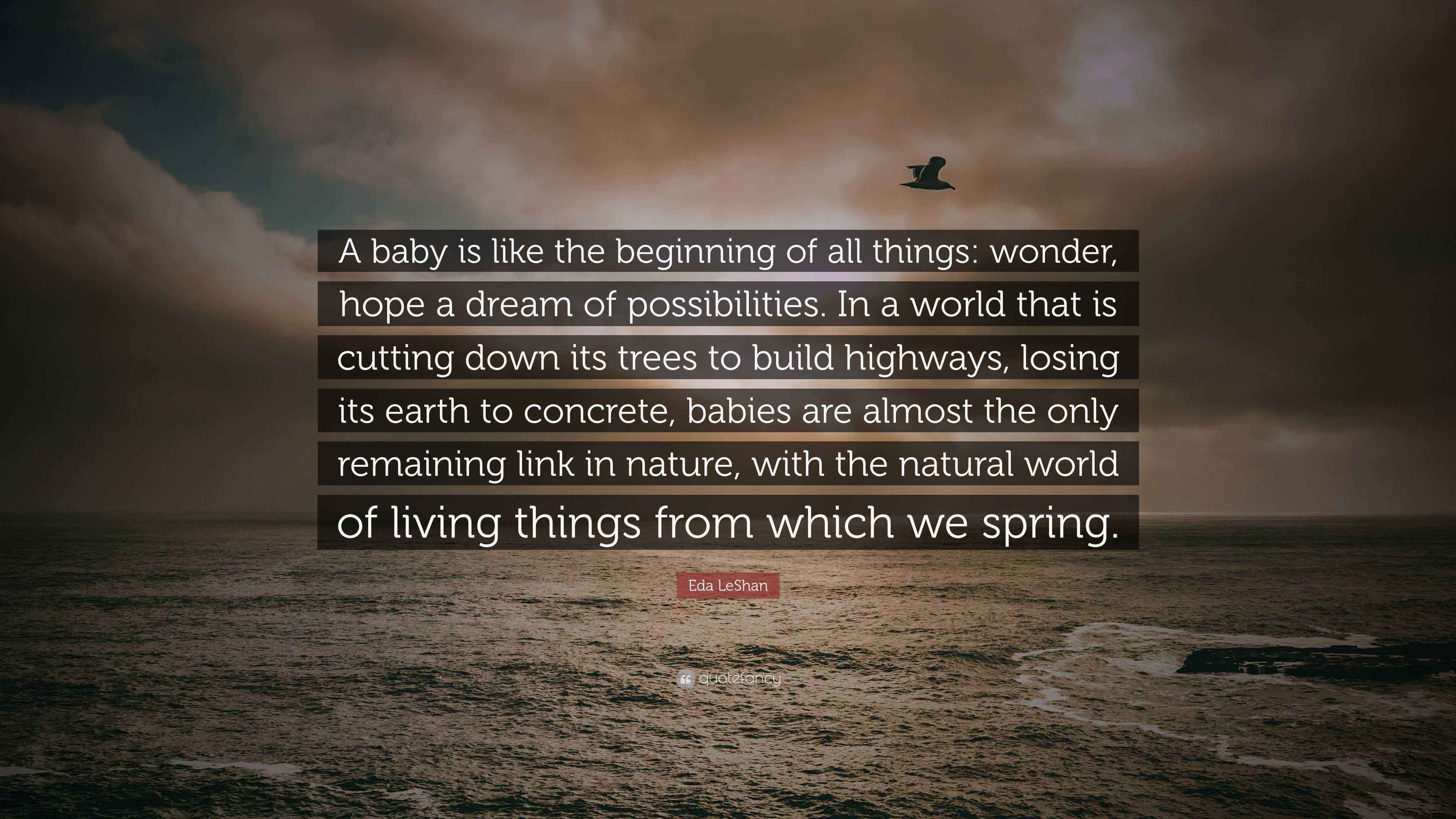 Eda LeShan Quote: “A baby is like the beginning of all things: wonder ...