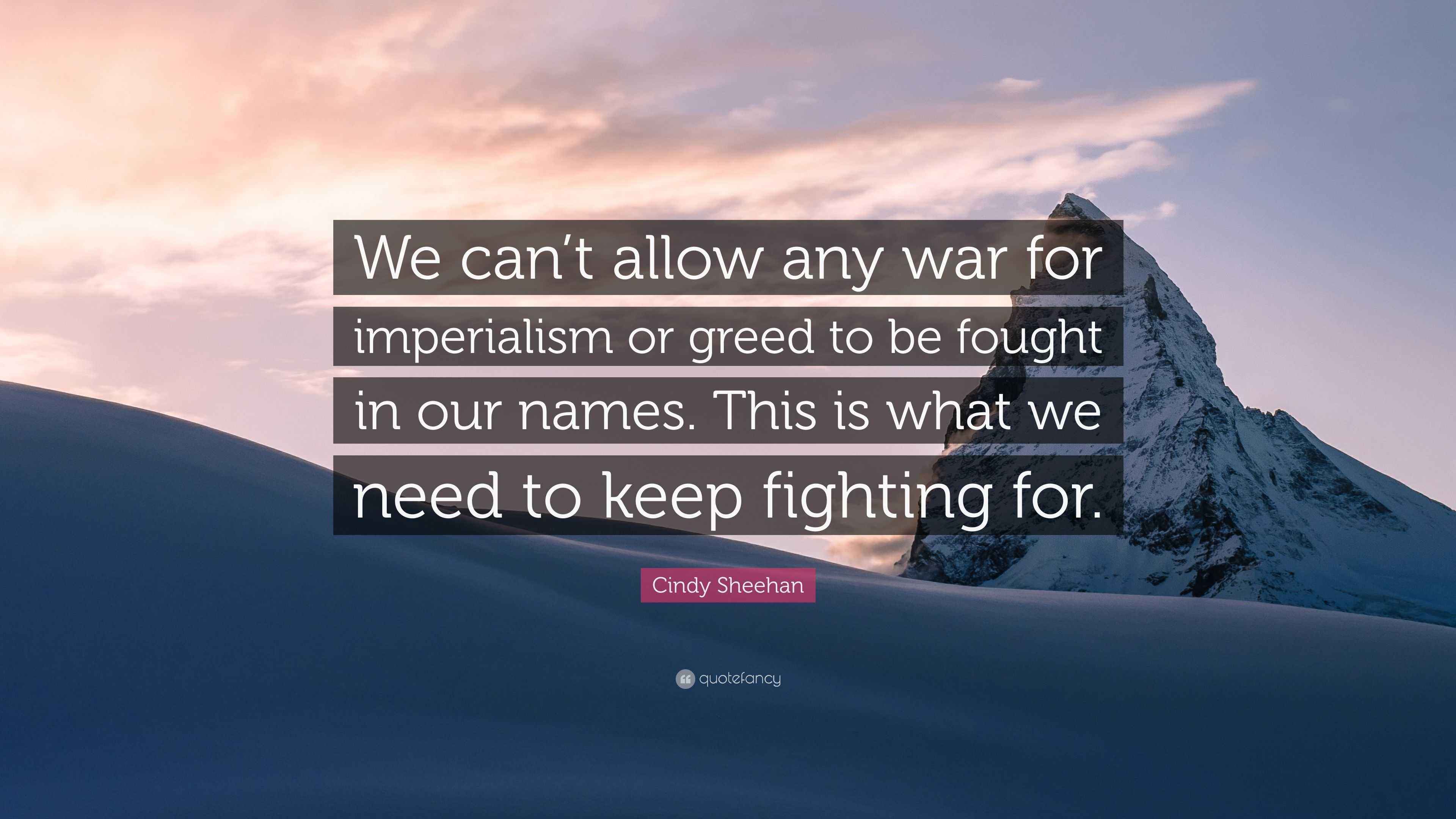 Cindy Sheehan Quote: “We can’t allow any war for imperialism or greed ...