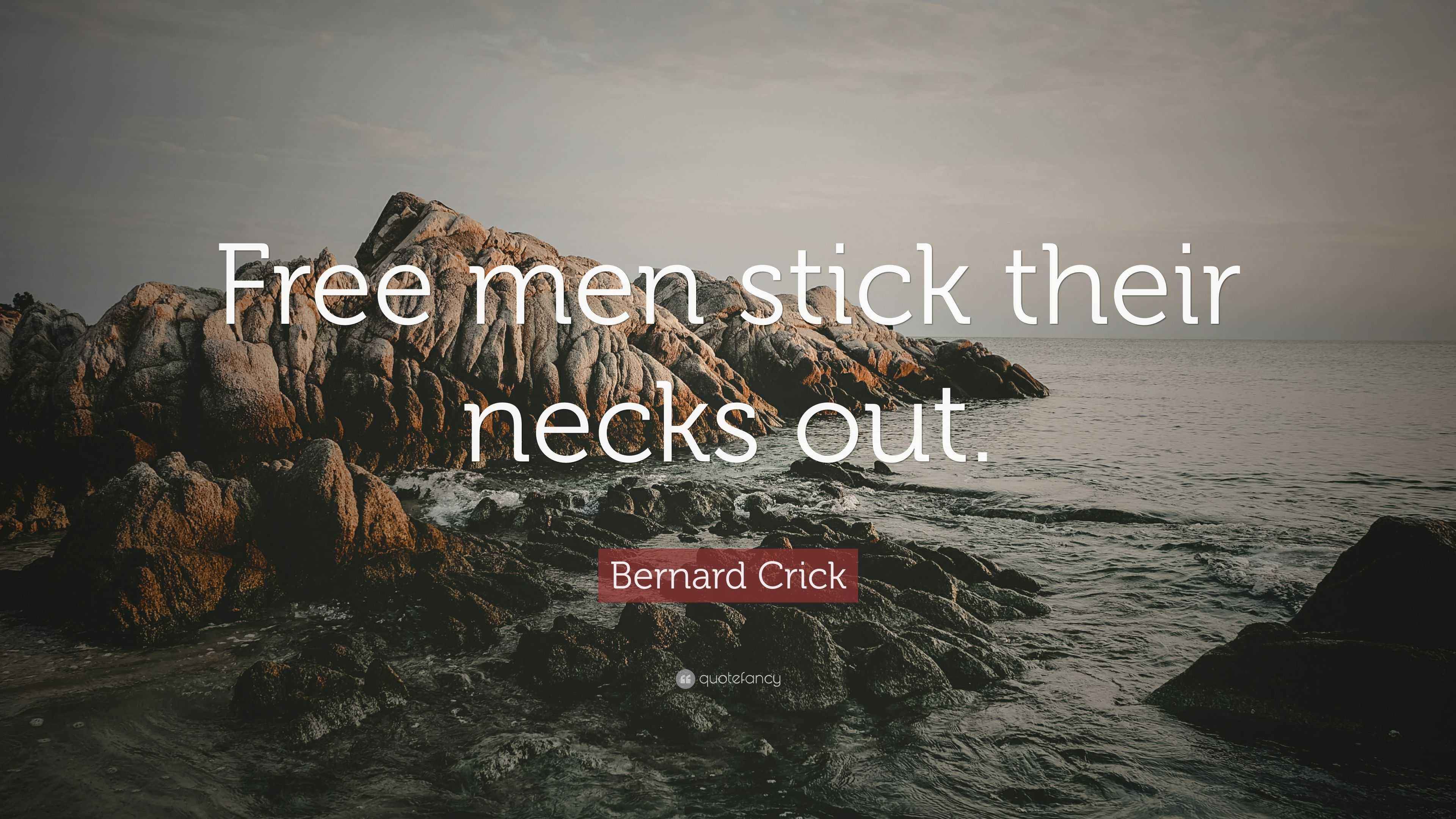 Bernard Crick Quote: “Free men stick their necks out.”
