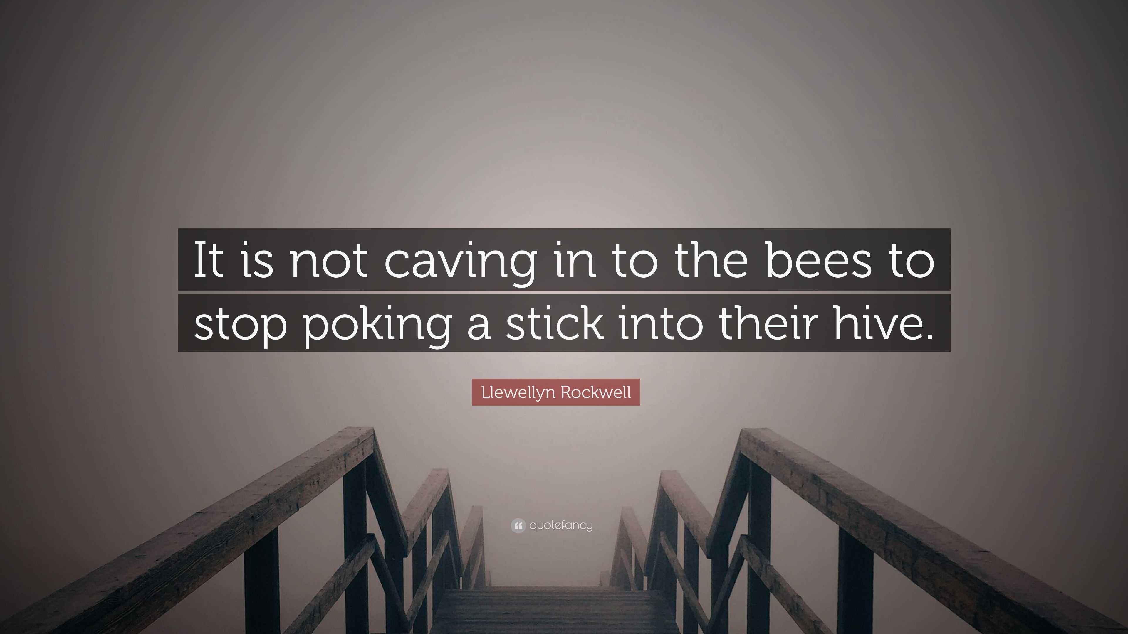 Llewellyn Rockwell Quote: “It is not caving in to the bees to stop ...