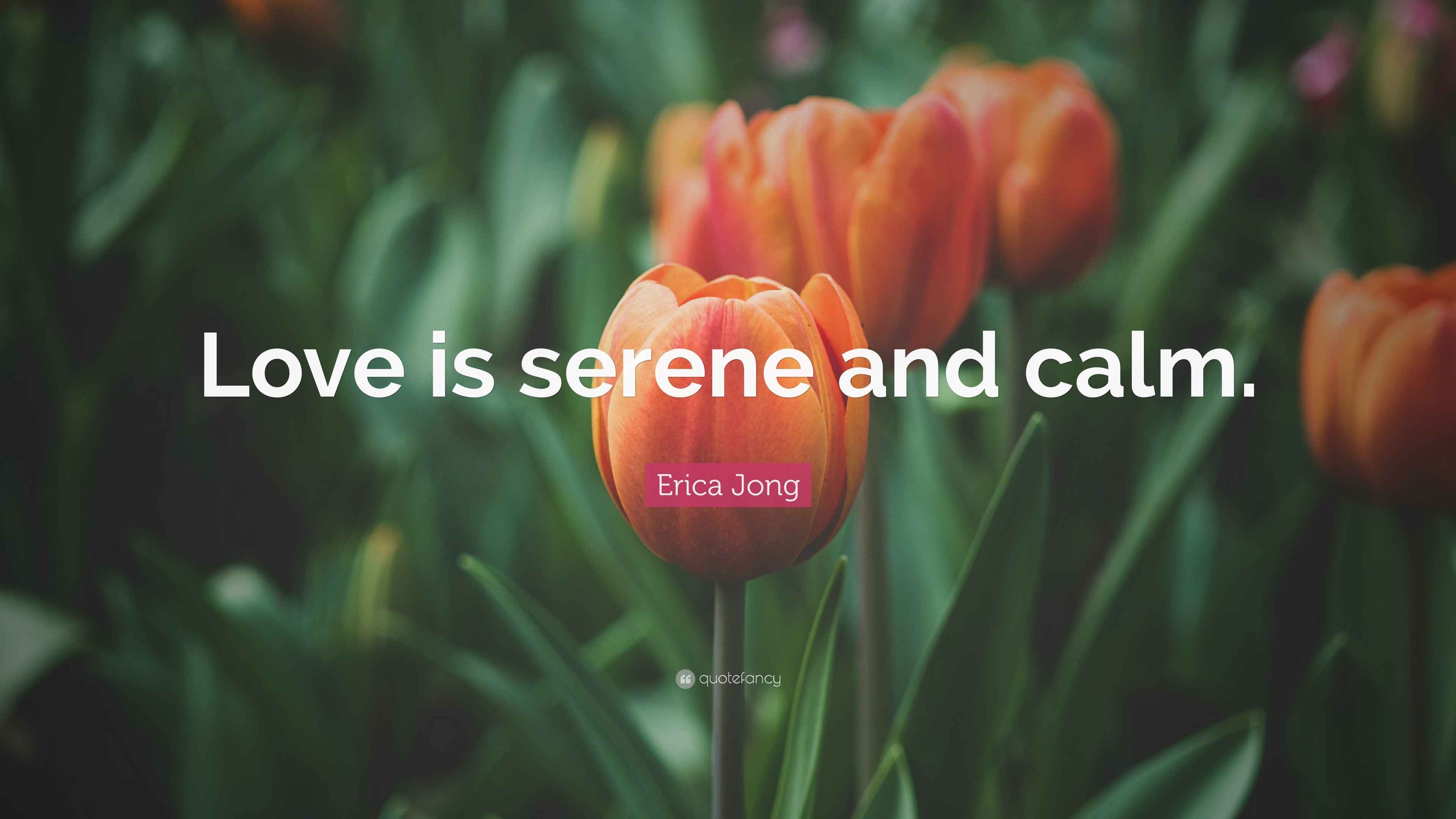 Erica Jong Quote: “Love is serene and calm.”