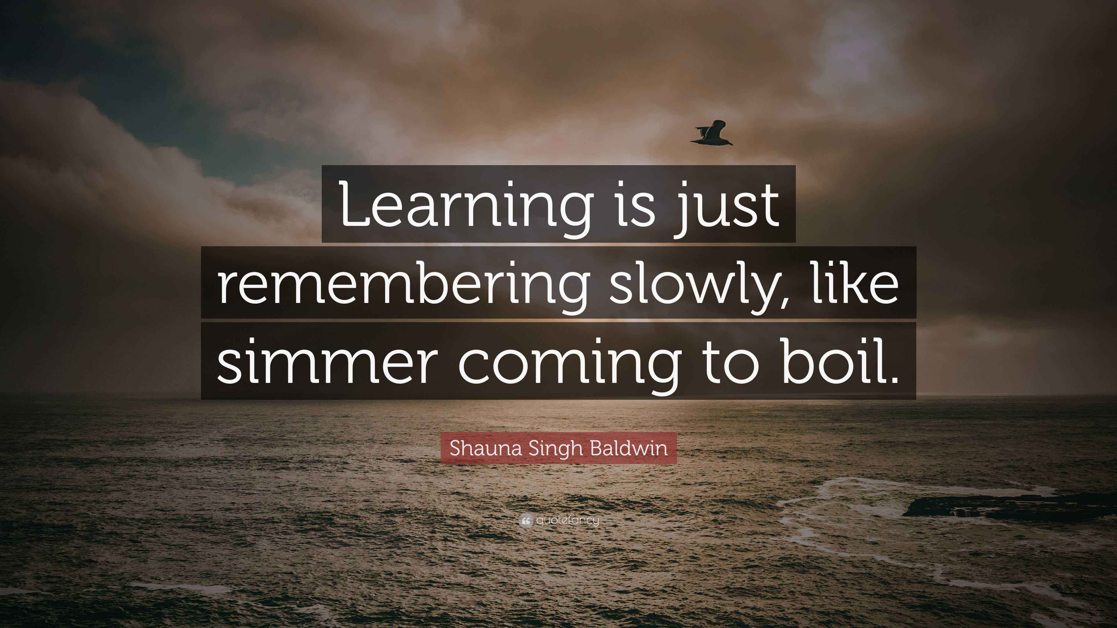 Shauna Singh Baldwin Quote: “Learning is just remembering slowly, like ...