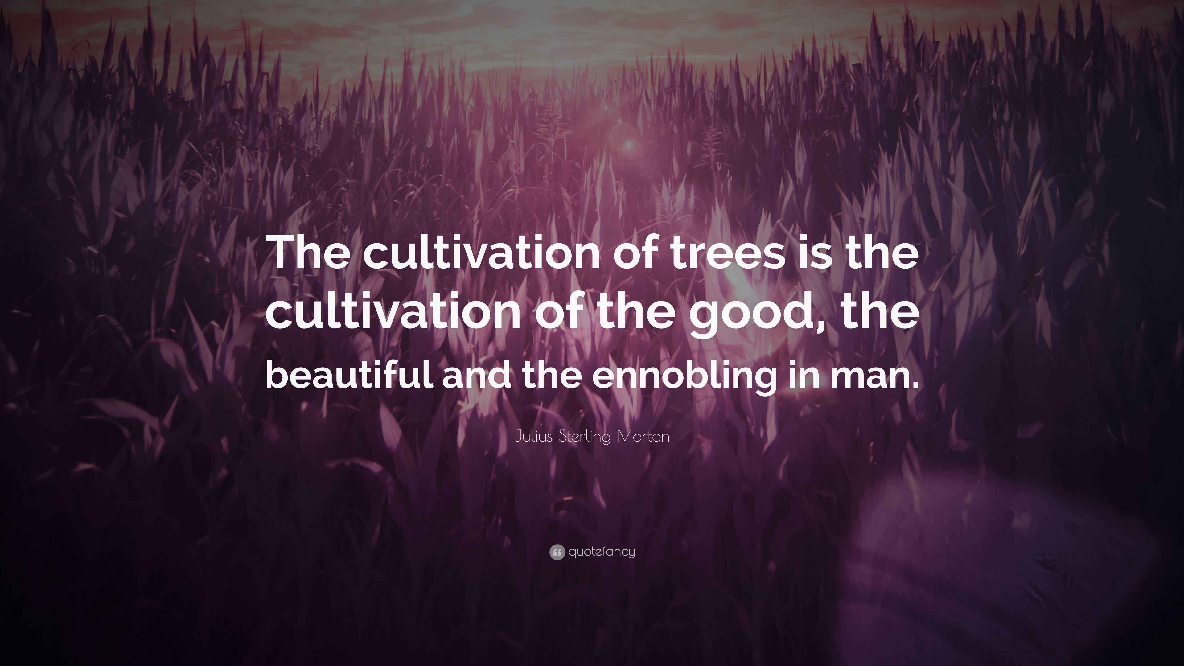 Julius Sterling Morton Quote: “The cultivation of trees is the ...
