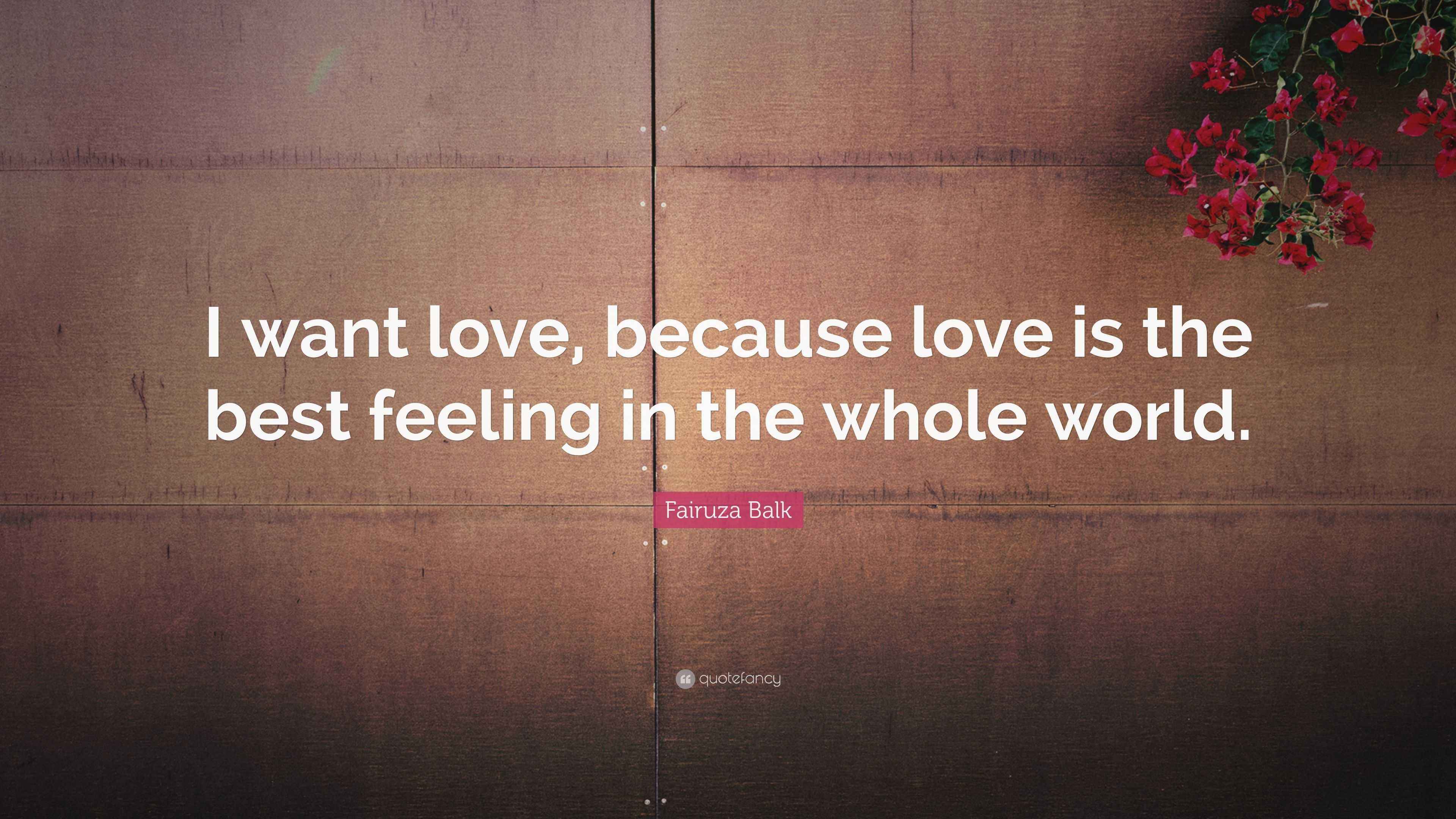 Fairuza Balk Quote: “I want love, because love is the best feeling in ...