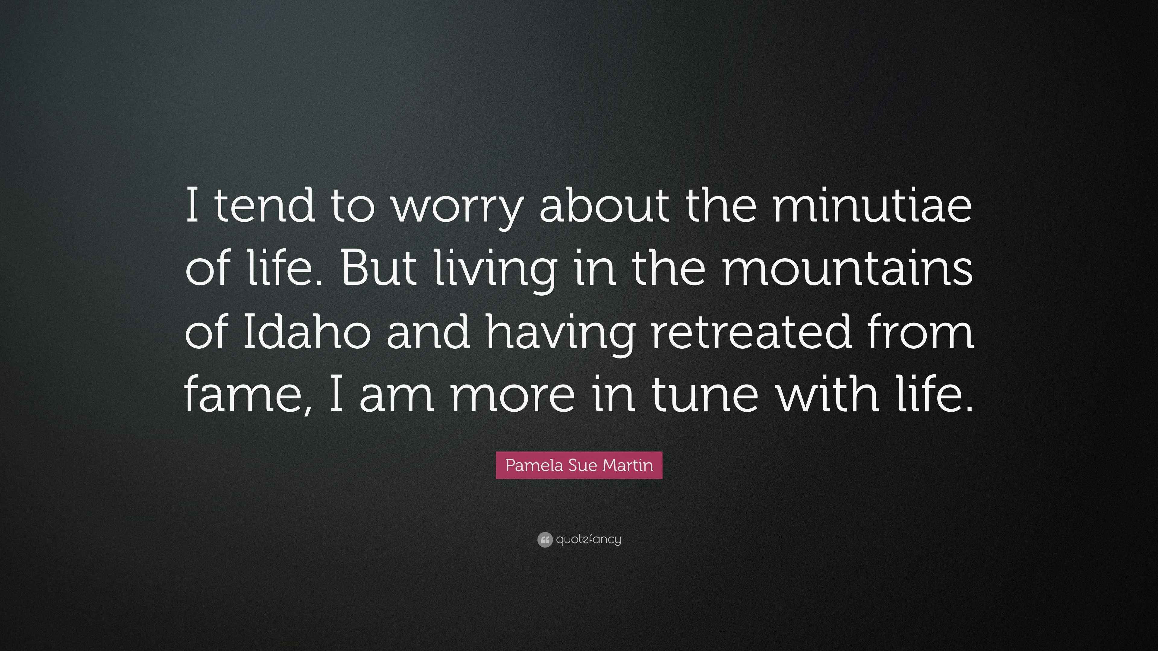 Pamela Sue Martin Quote: “I tend to worry about the minutiae of life ...
